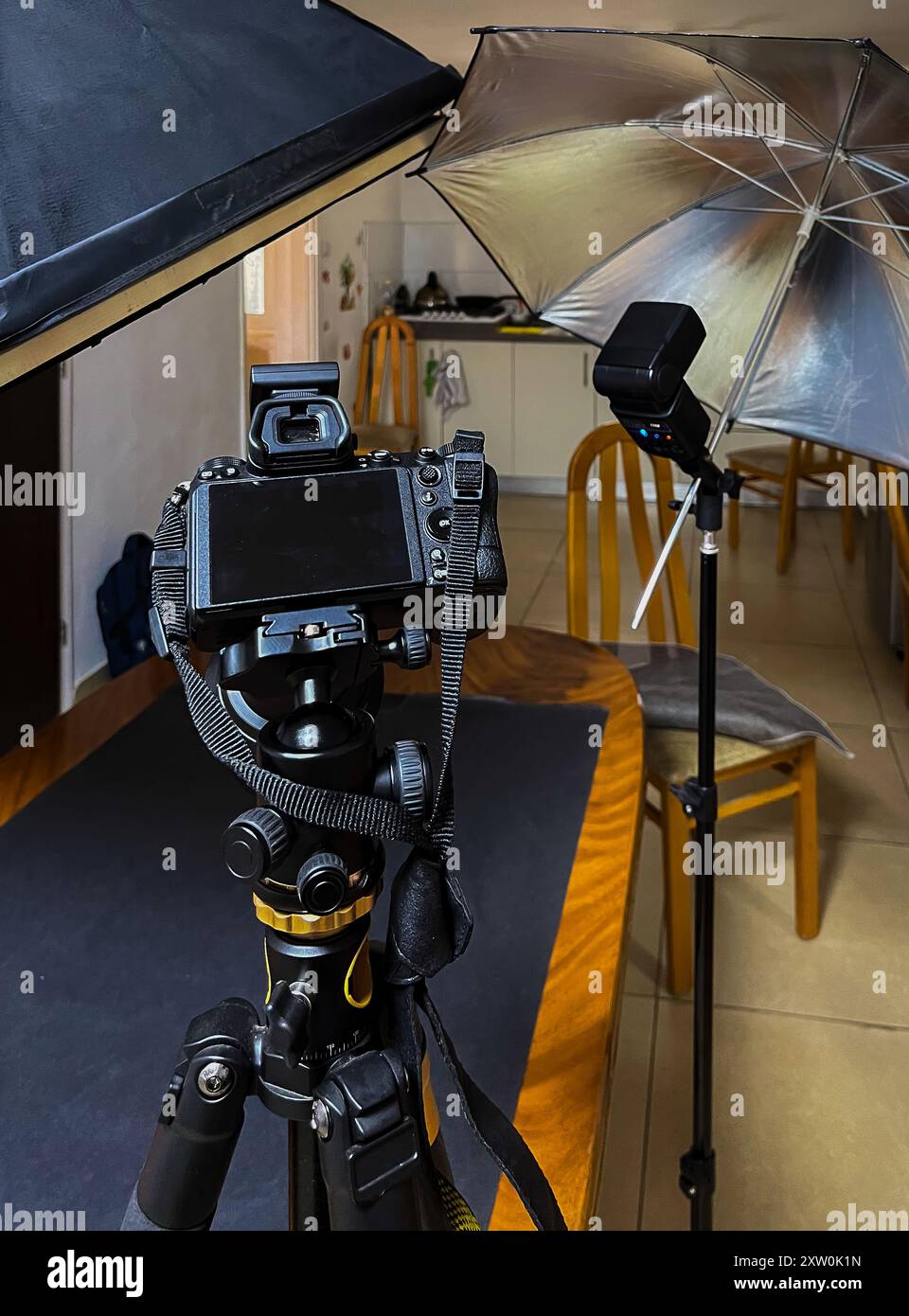 interior of professional photo studio with white background general ...