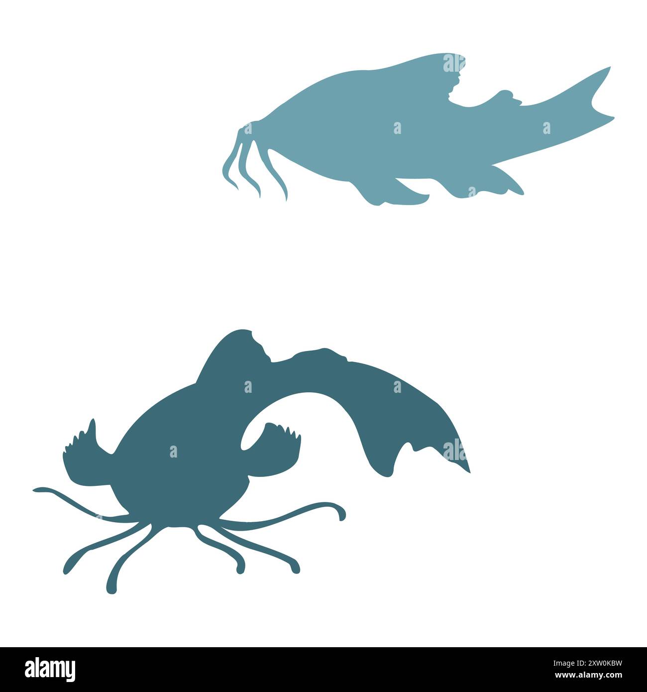Marine life, sea ocean underwater creatures fish, shells algae seaweed ...
