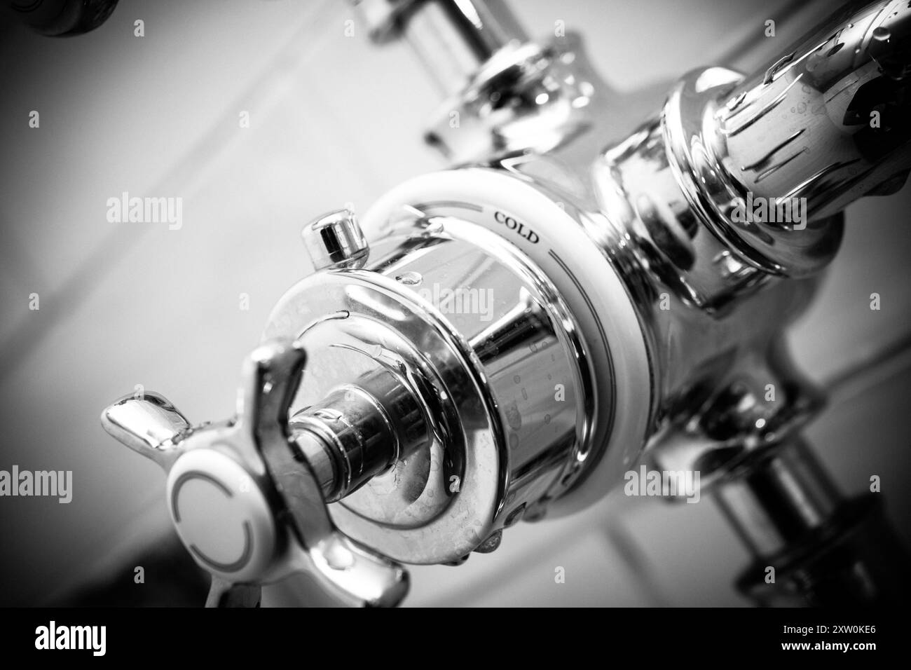 A detailed view of a stylish bathroom faucet showcasing a cold water ...