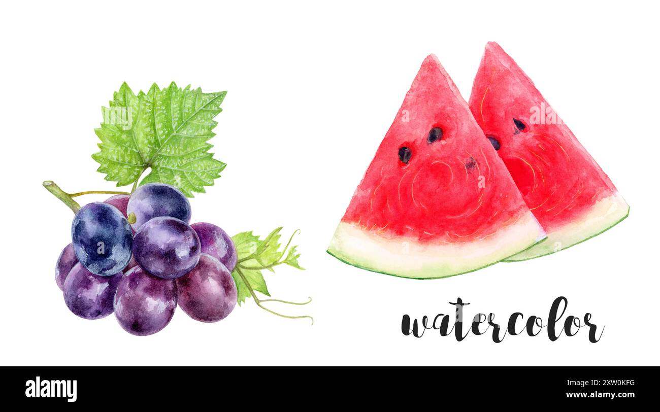 An beautiful illustration featuring vibrant Watercolor Grapes and ...