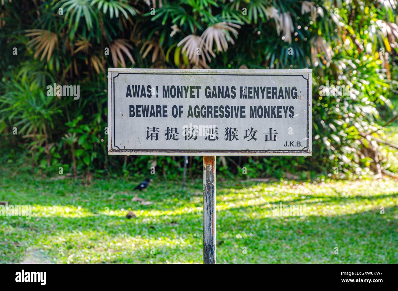 A sign informs people to be aware of aggressive monkeys in The Penang ...