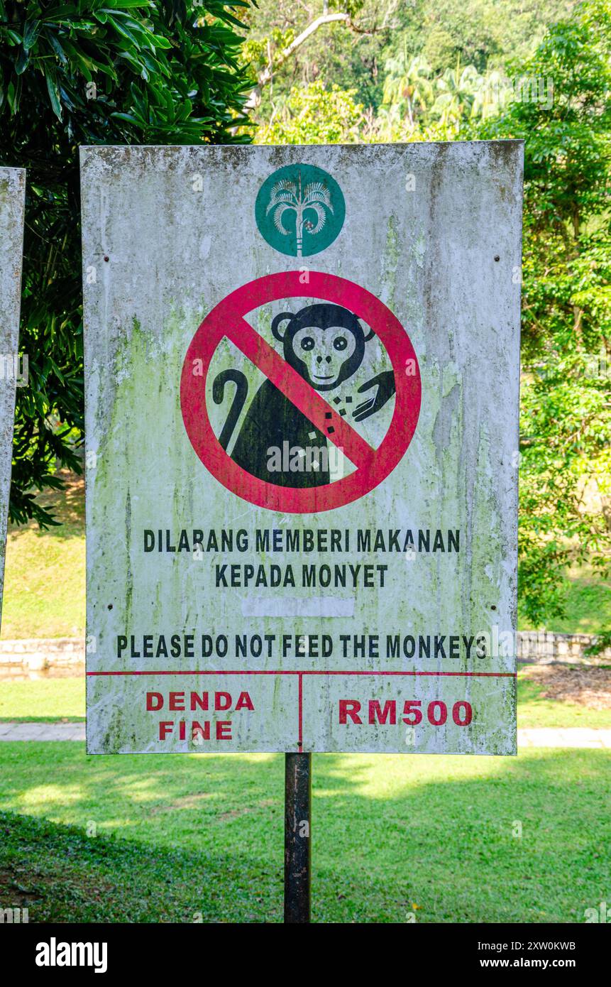 A sign informs people that feeding monkeys is not allowed in The Penang ...