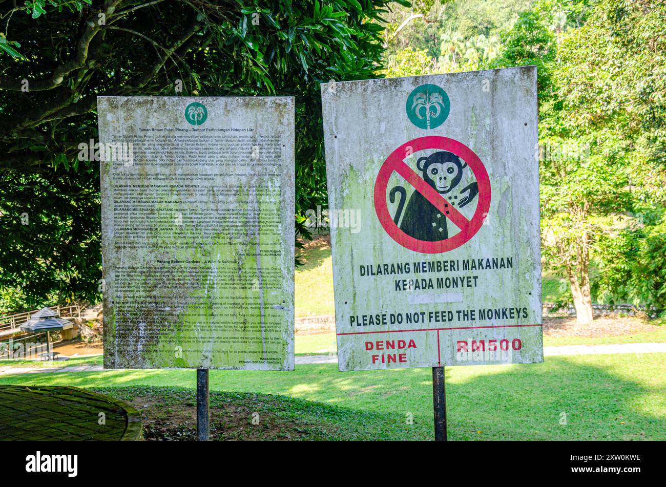 A sign informs people that feeding monkeys is not allowed in The Penang ...