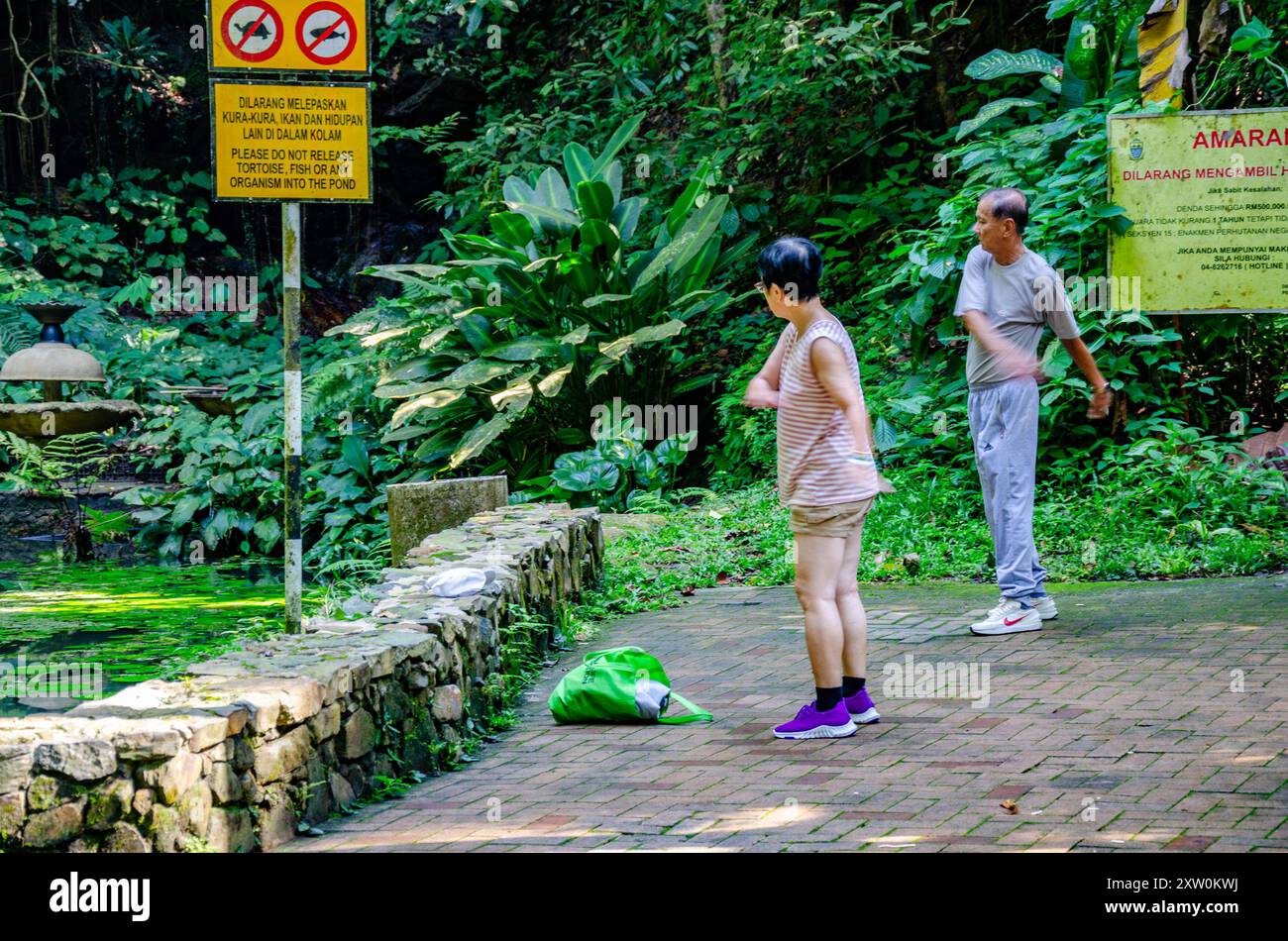 An Asian couple exercise together at the lily pond in the Penang ...