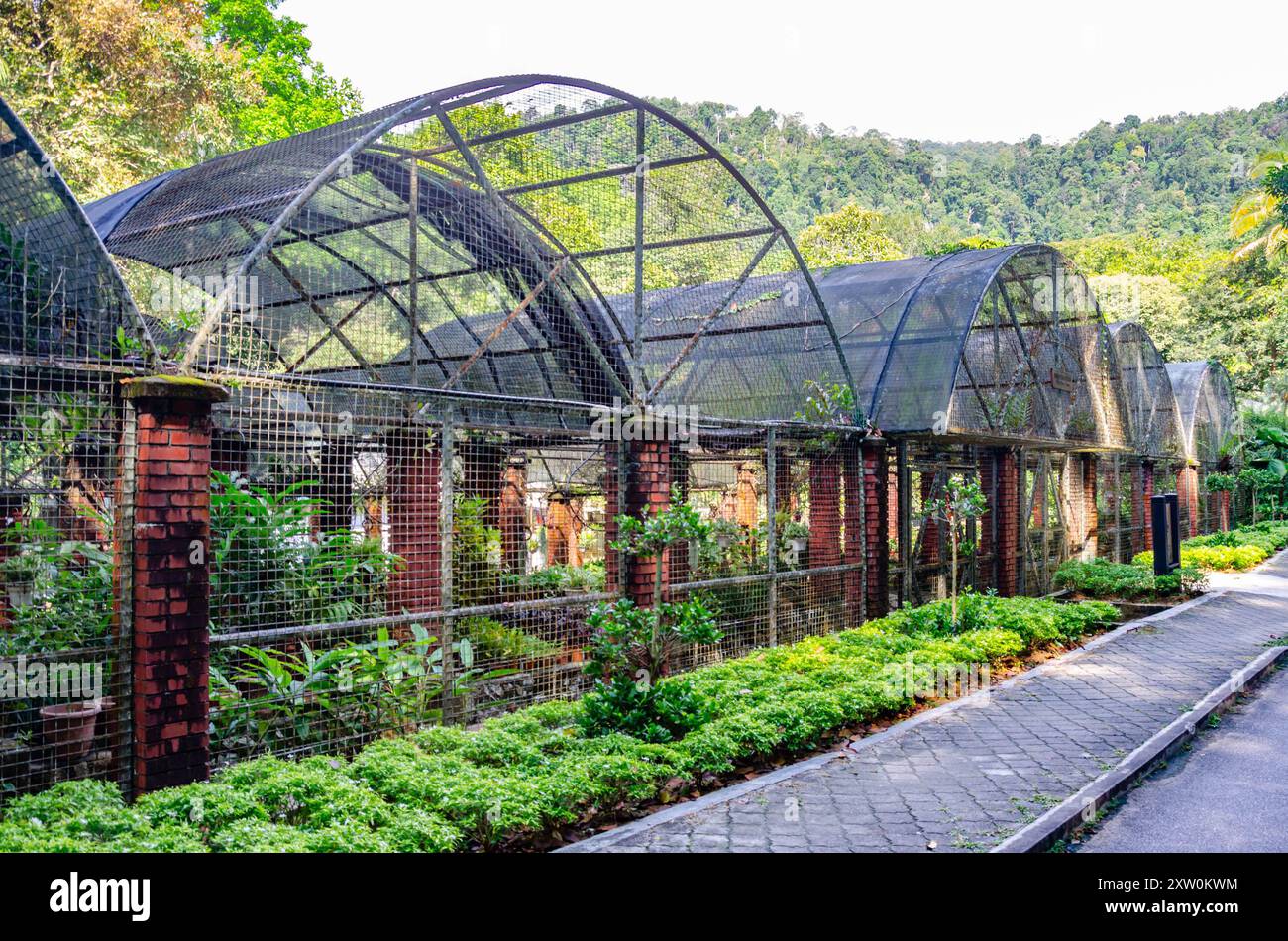 Plant houses where plants are protected form animals in the Penang ...