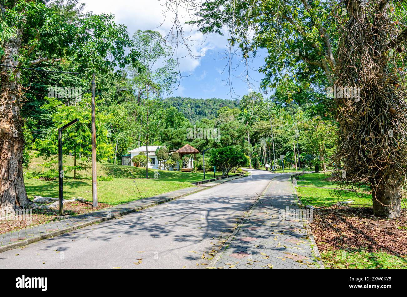 A view along a road running through The Penang Botanic Gardens, Pulau ...