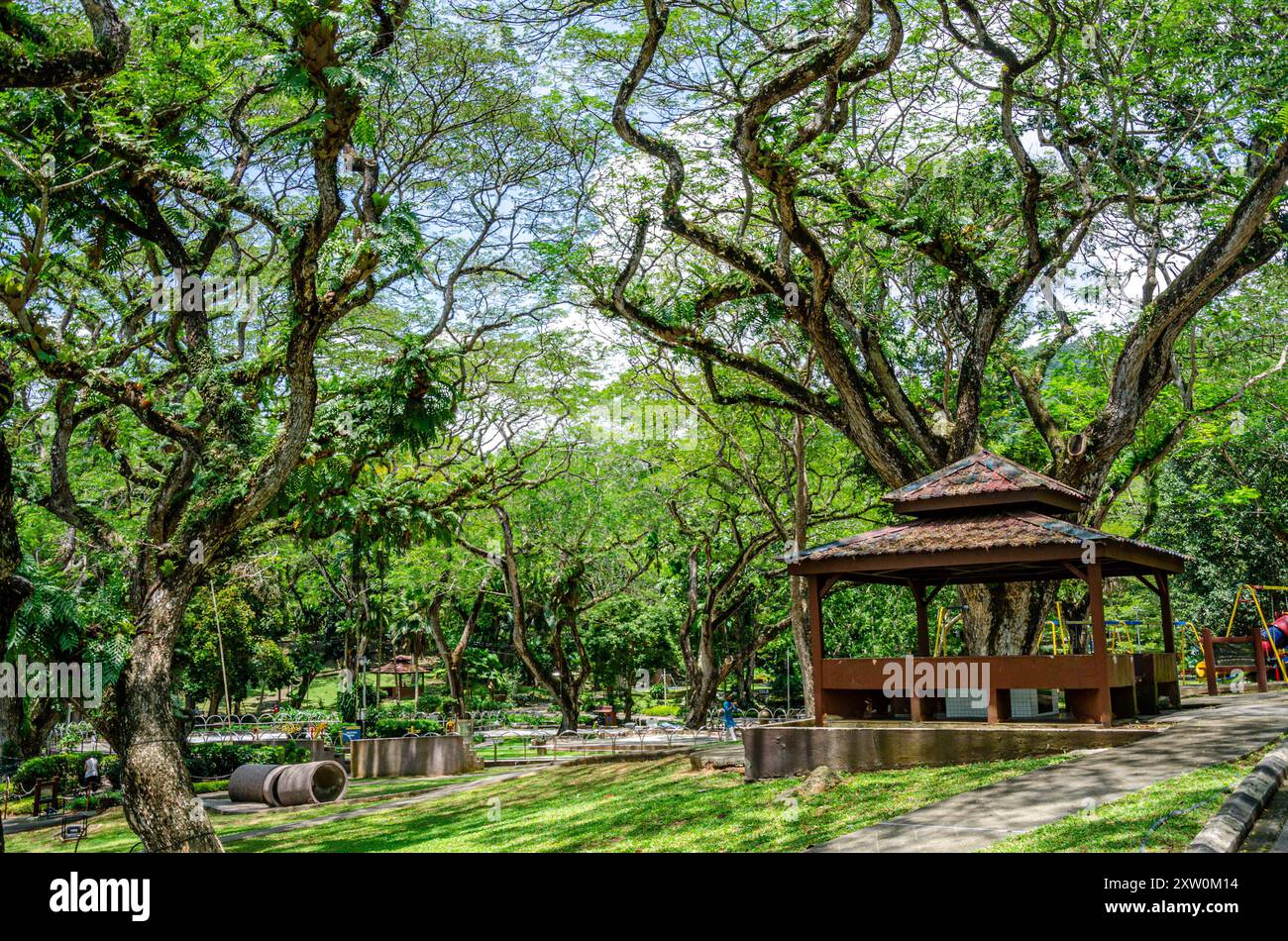 Trees provide shade and shelter hi-res stock photography and images - Alamy