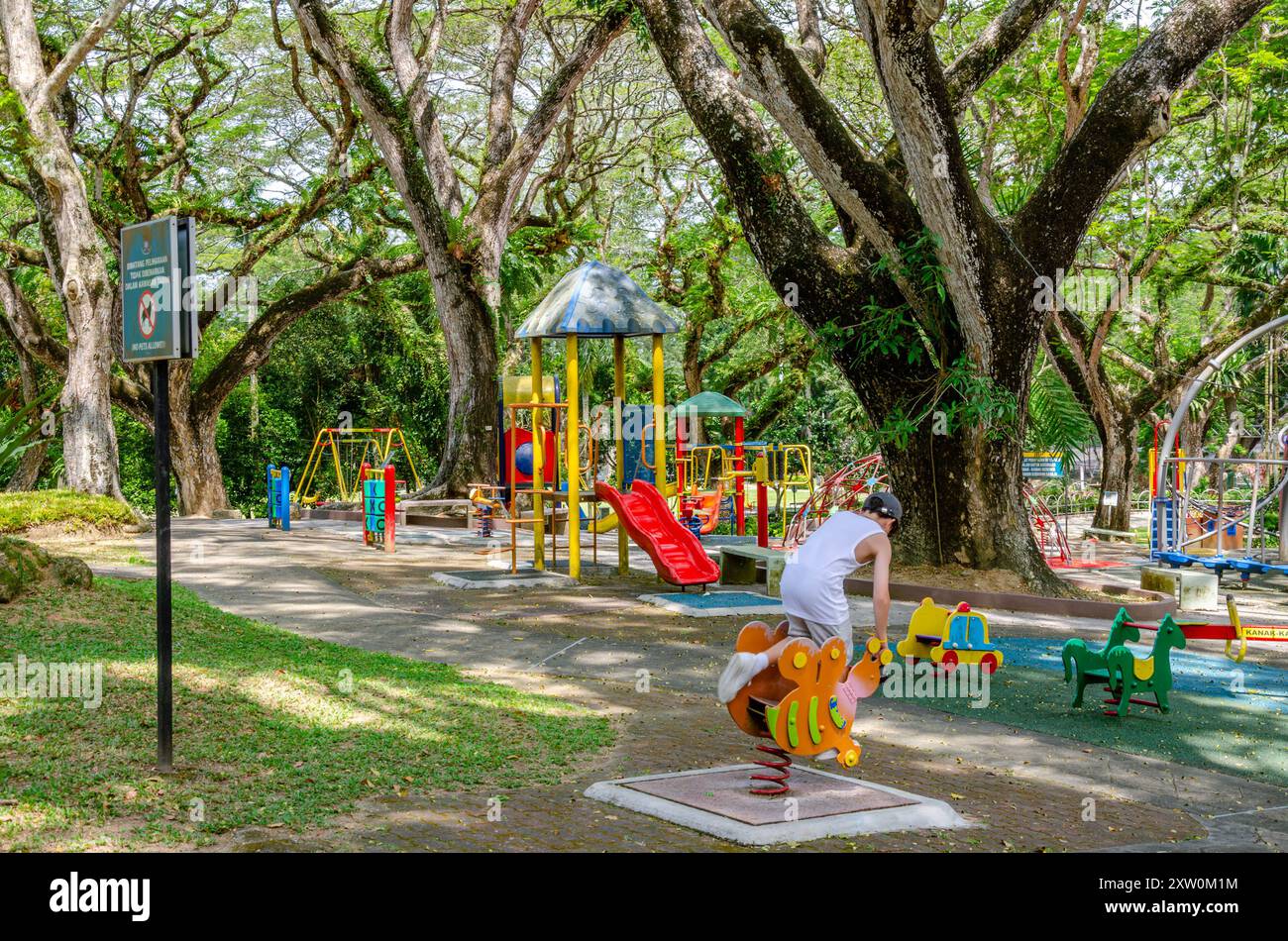 A boy plays in a children's playground in dappled shade from trees in ...
