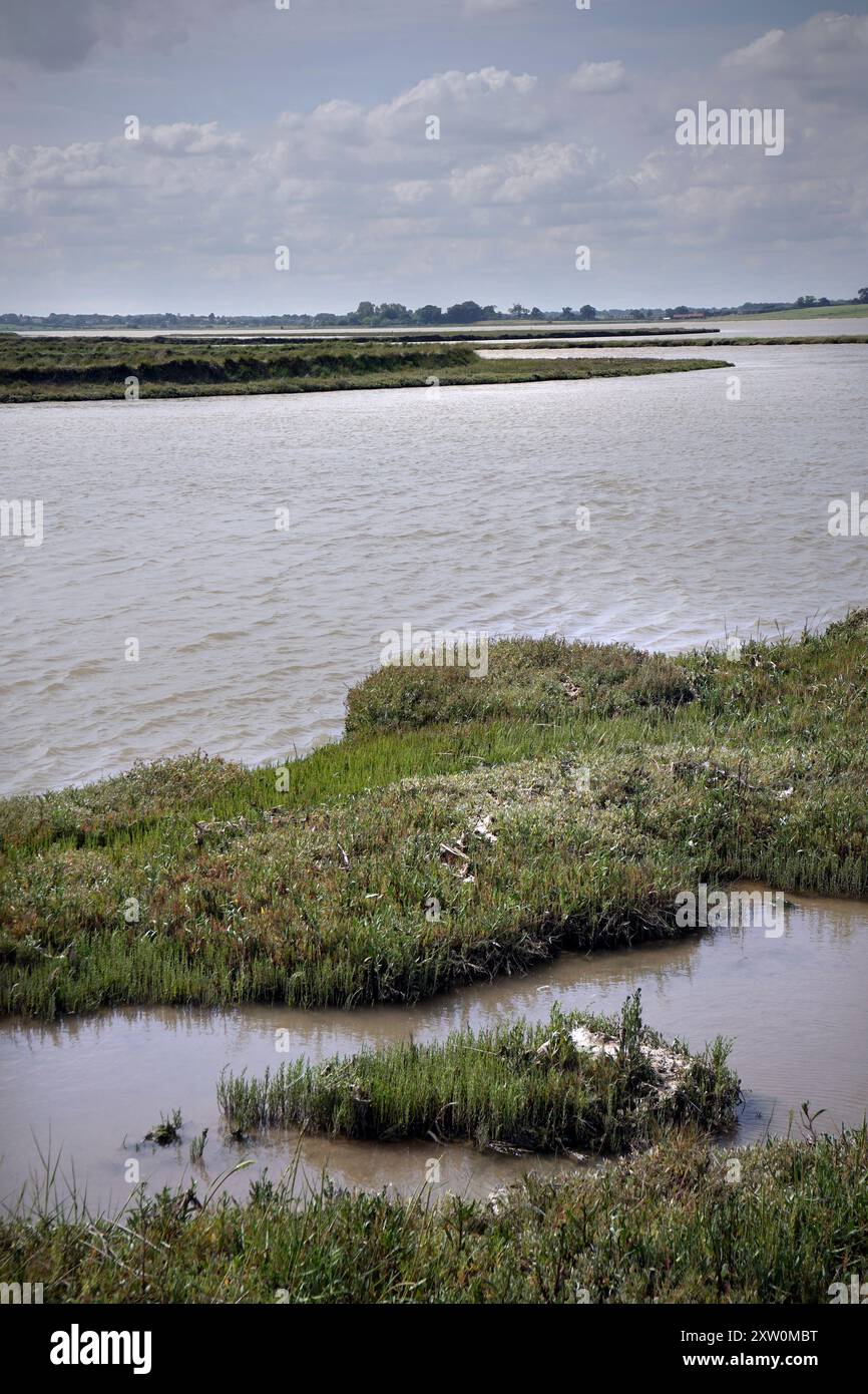 samphire growing on marshes with the river blyth dividing southwold and ...