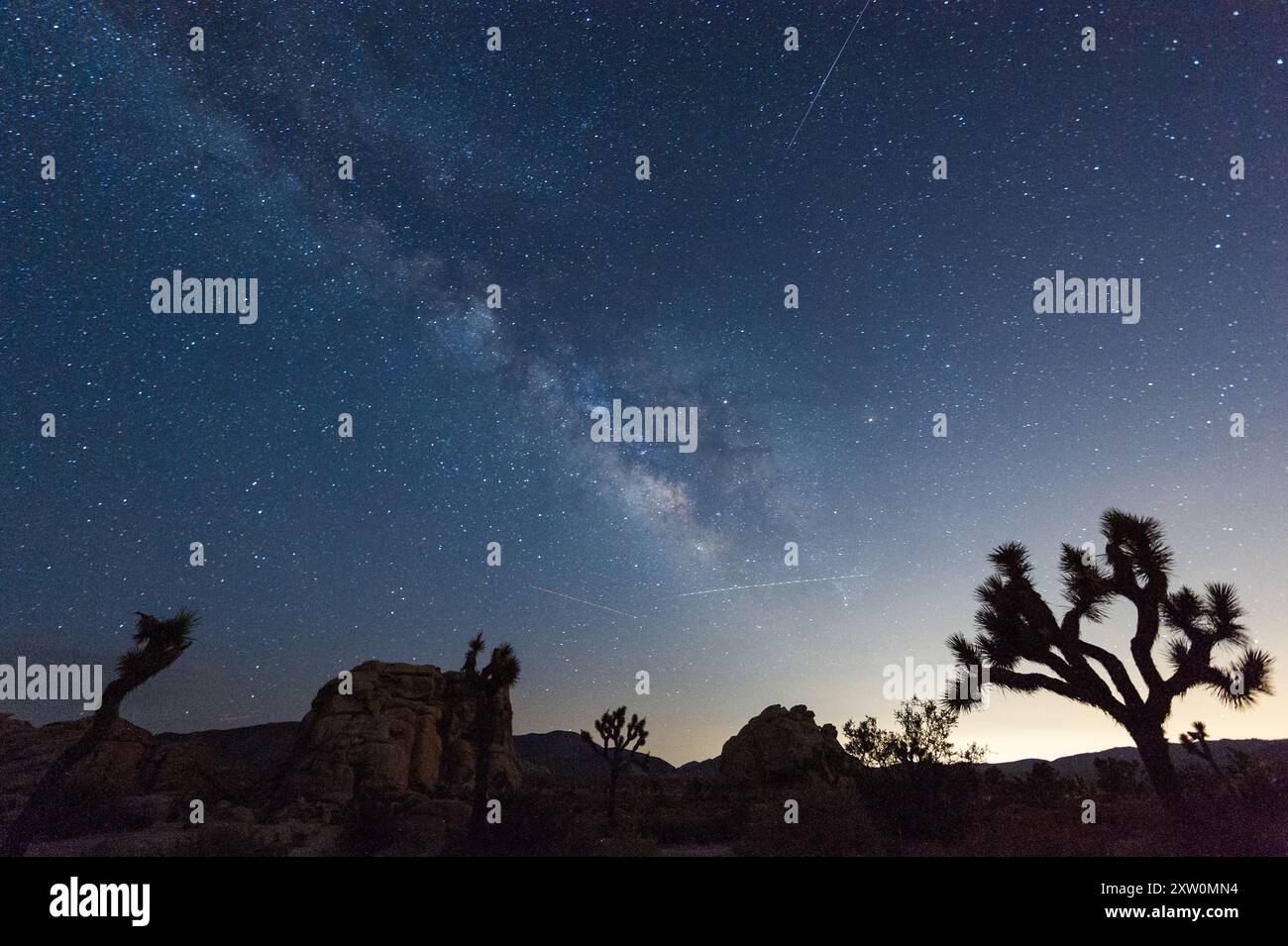 Impression of the night sky on a quiet summer evening in Joshua Tree ...