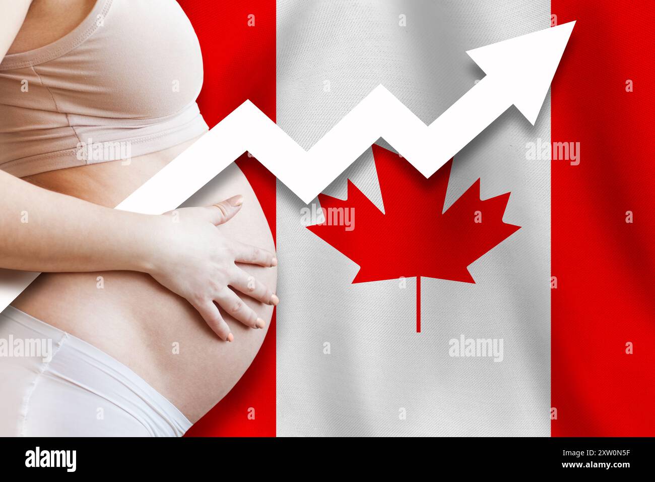 Demographics and pregnancy in Canada concept. Close-up of pregnant ...