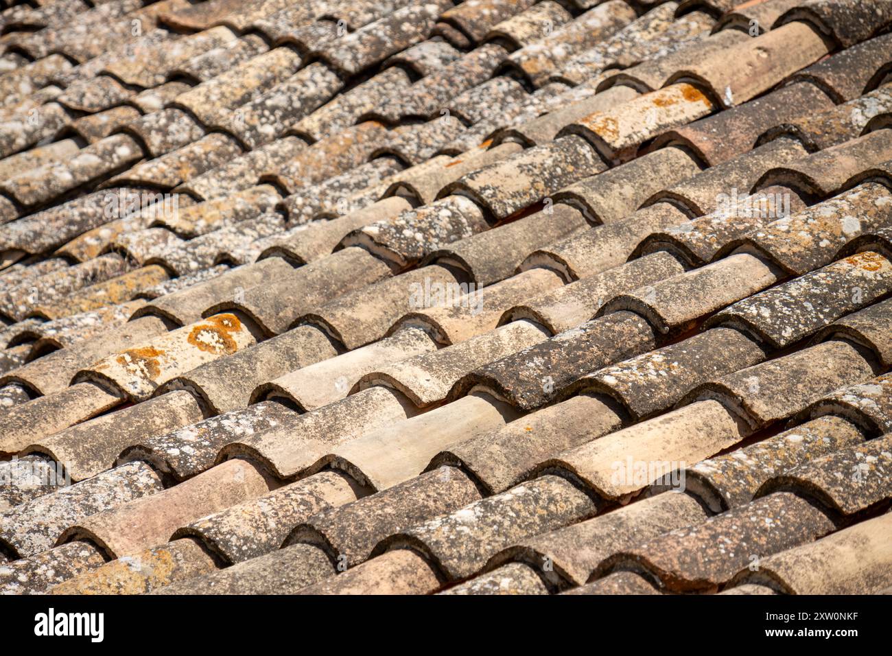 Detailed view of old, weathered terracotta roof tiles on a ...