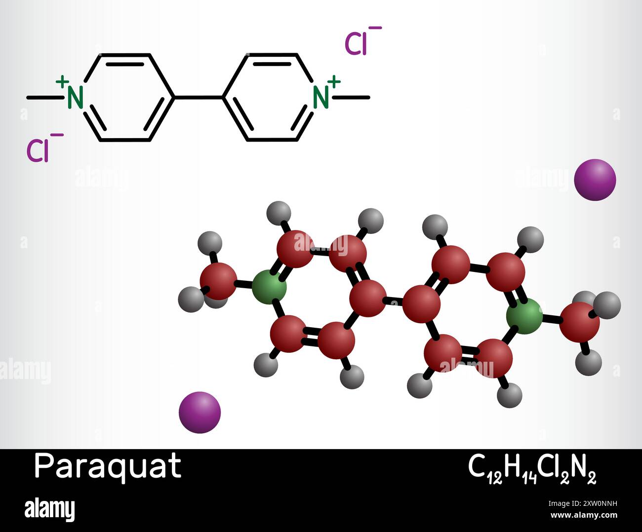 Paraquat, methyl viologen molecule. It is herbicide, pesticide ...