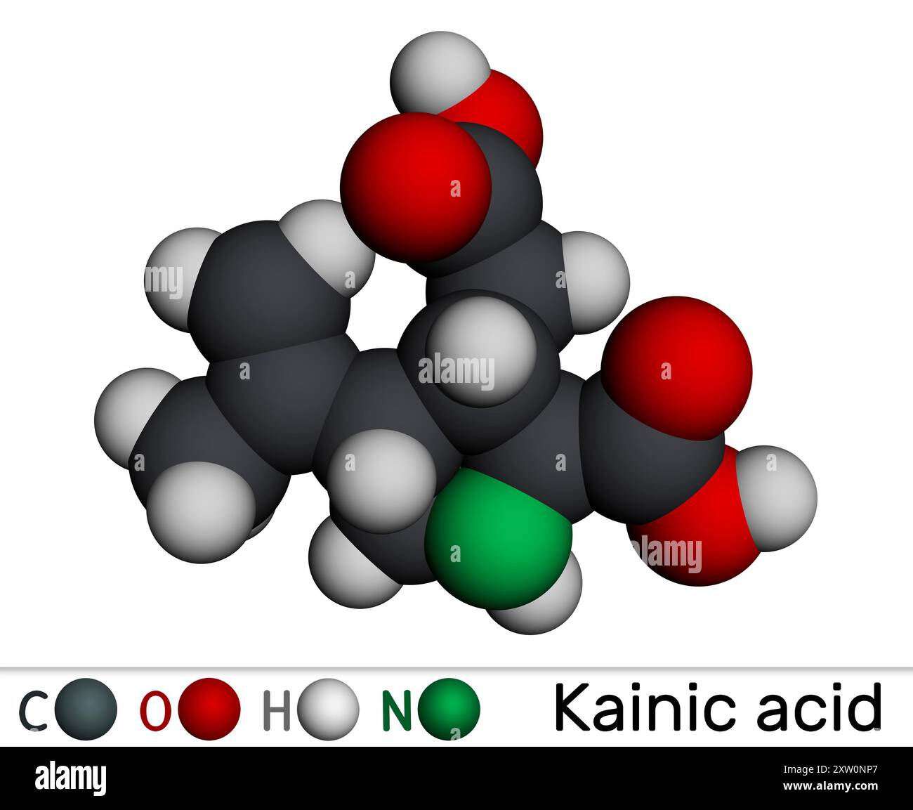 Kainic acid or kainate molecule. It is neuroexcitatory amino acid ...