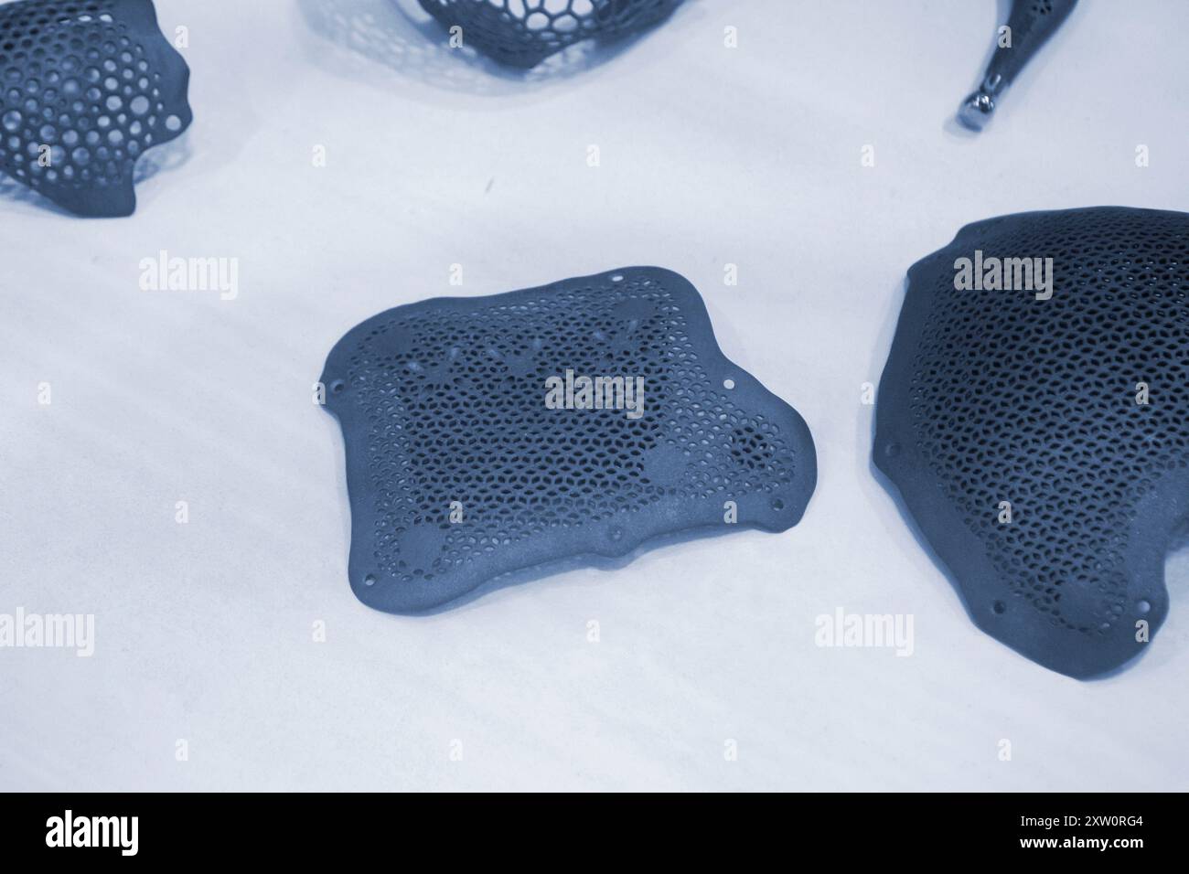 Individual patient-specific cranial plate grid made of biocompatible ...