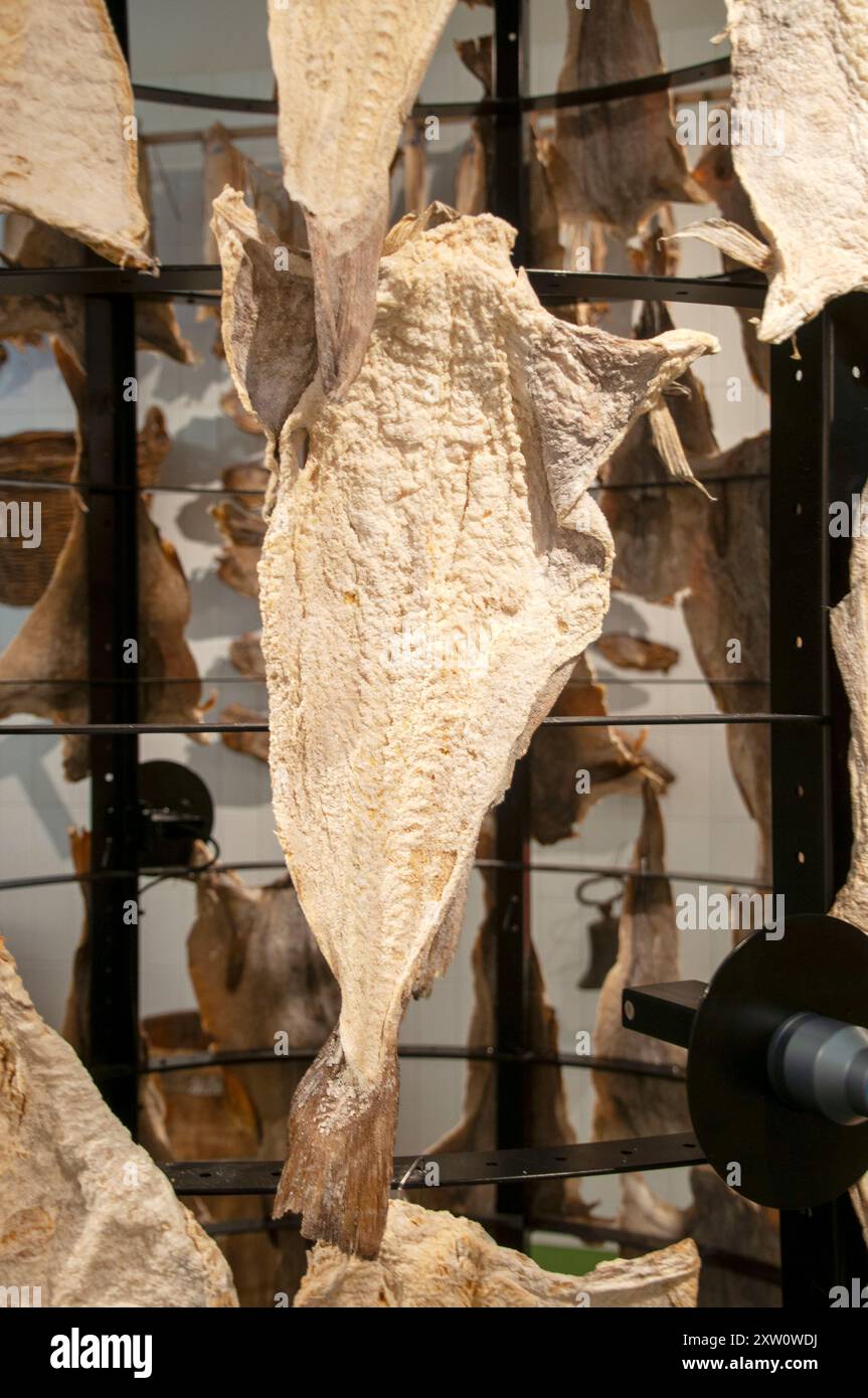 Salt cod on display hi-res stock photography and images - Alamy