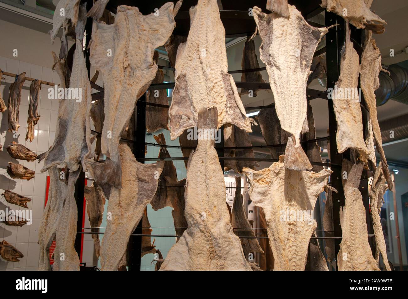 Salt cod on display hi-res stock photography and images - Alamy