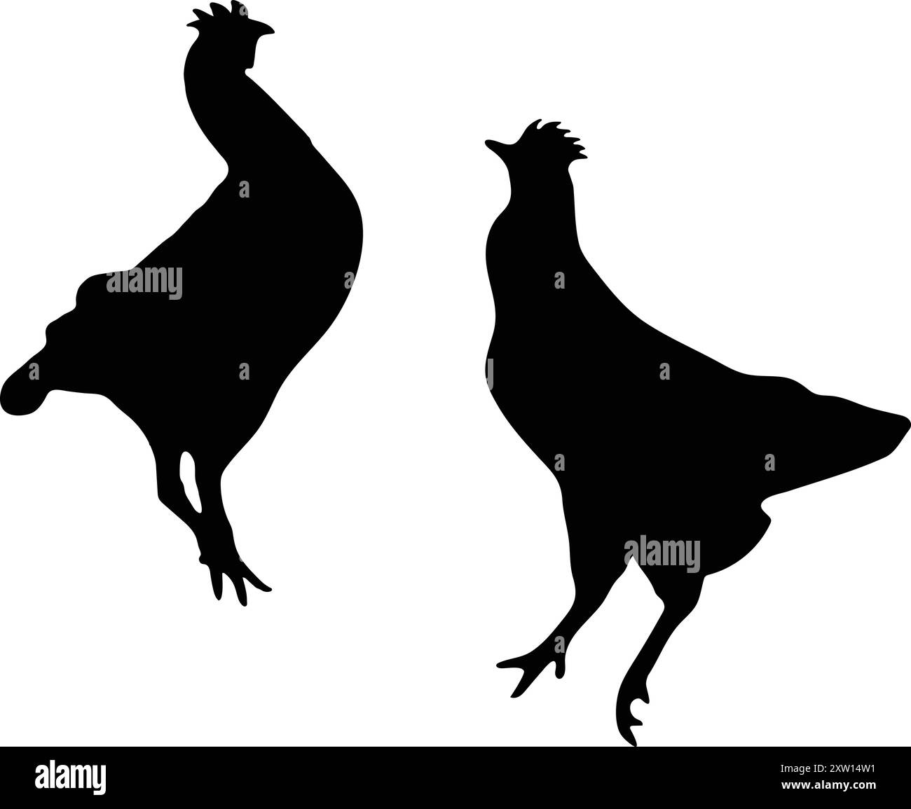Rooster outline hi-res stock photography and images - Alamy