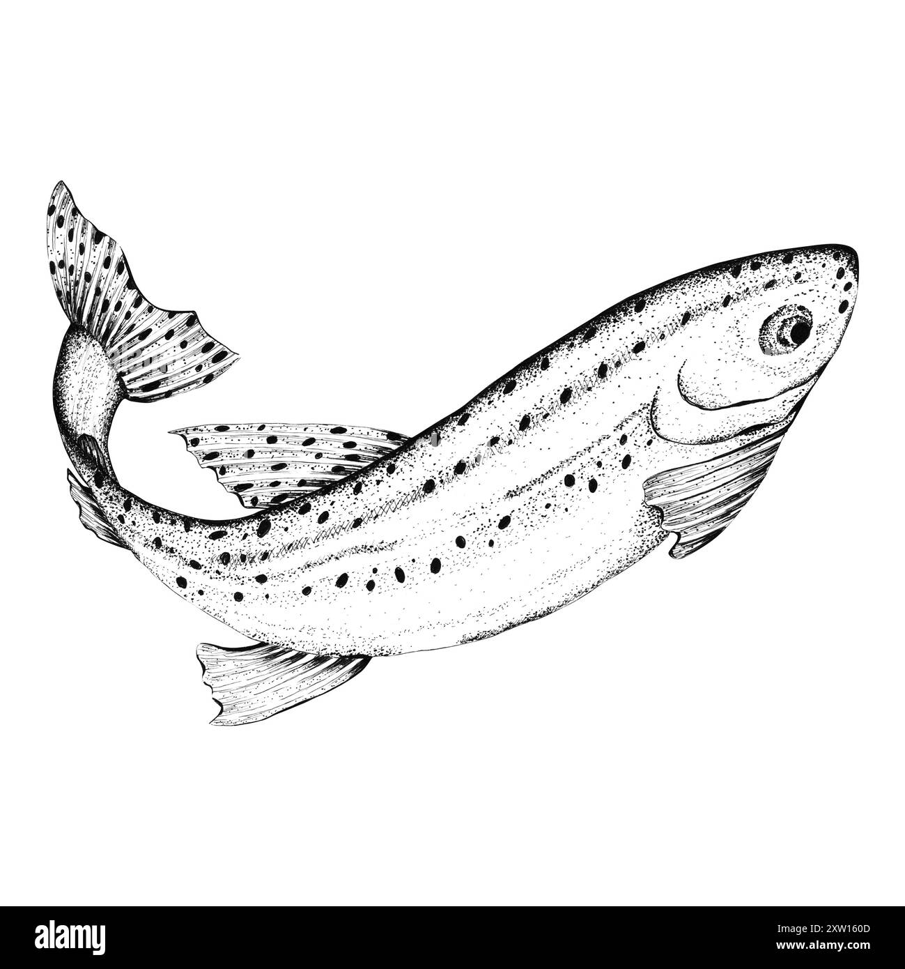 Ink outline art hi-res stock photography and images - Alamy