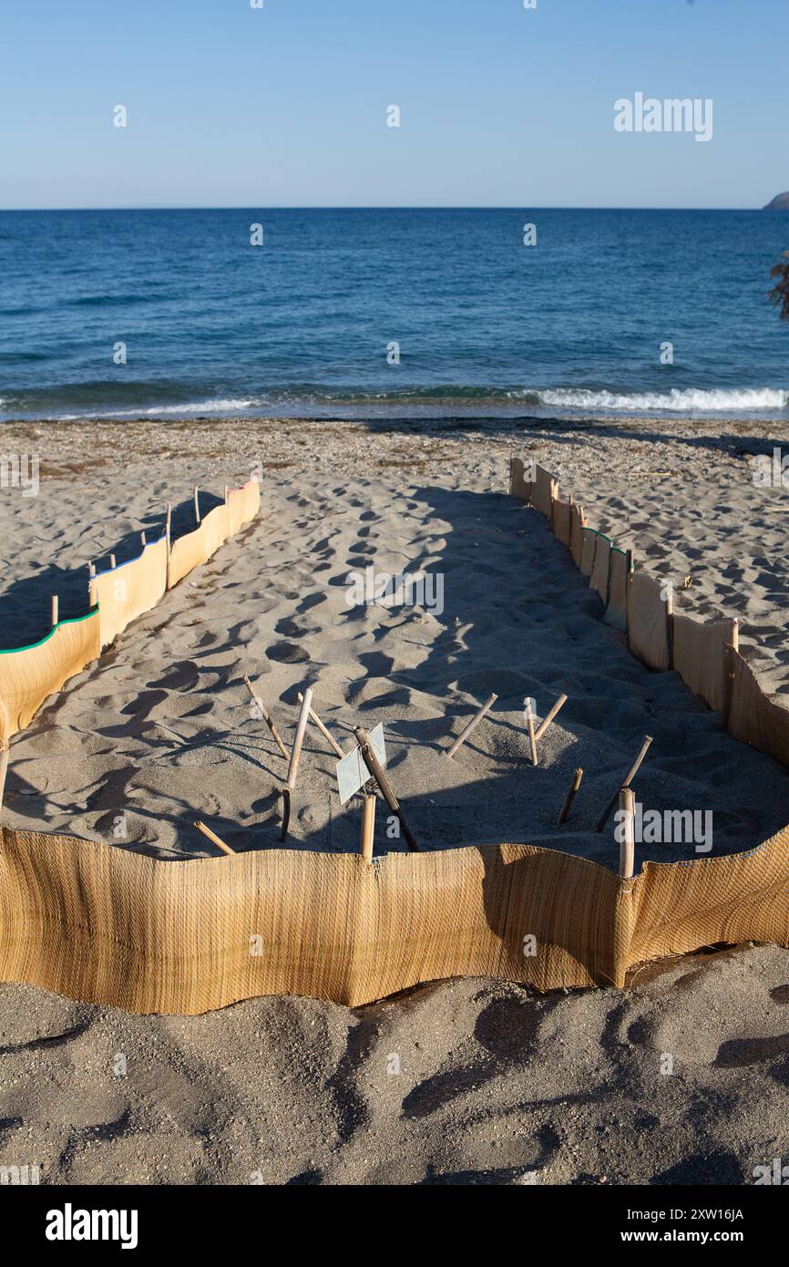 Protected area on a sunny beach showing efforts in sea turtle ...