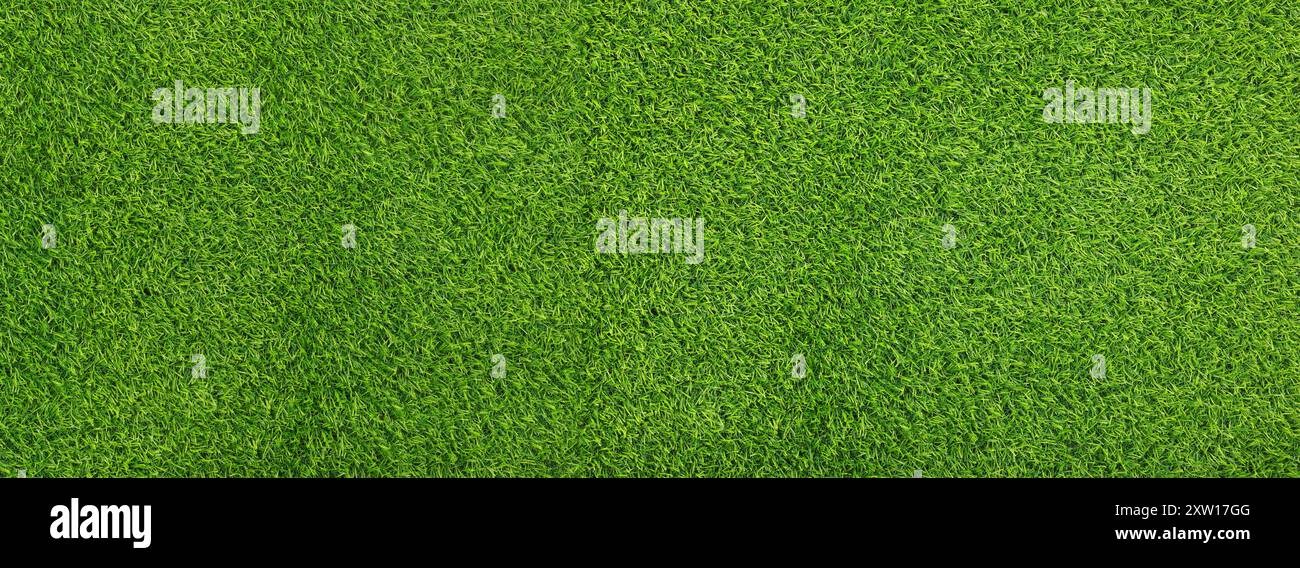 Green artificial grass as background, banner design Stock Photo - Alamy