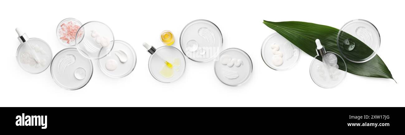 Petri dishes with cosmetic products and plant isolated on white, top ...