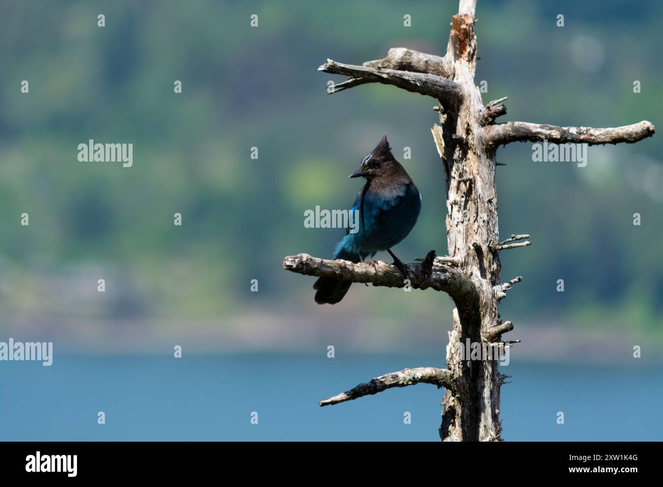 Sun valley oregon hi-res stock photography and images - Alamy