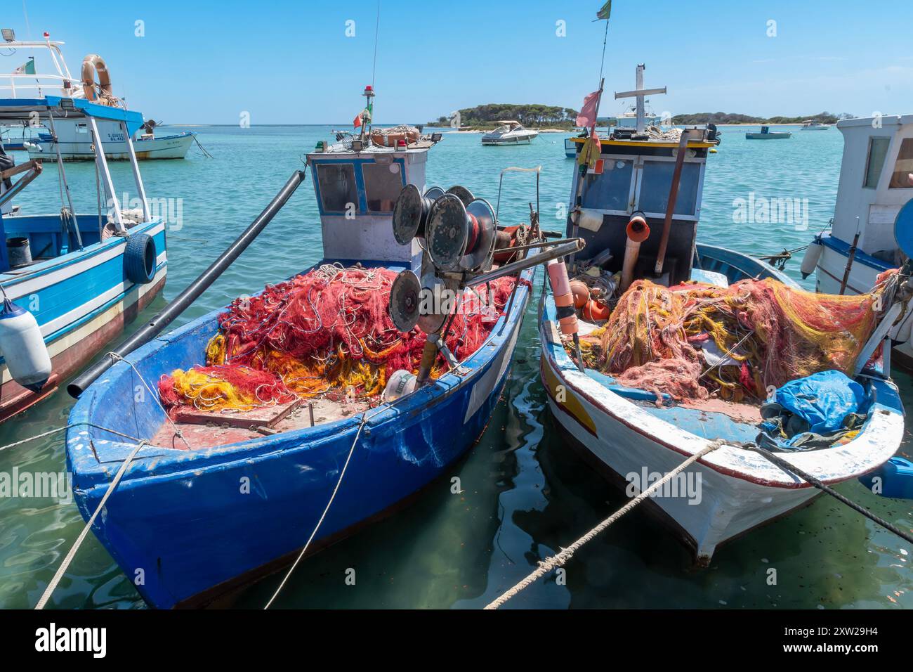 Pesce piccolo hi-res stock photography and images - Alamy