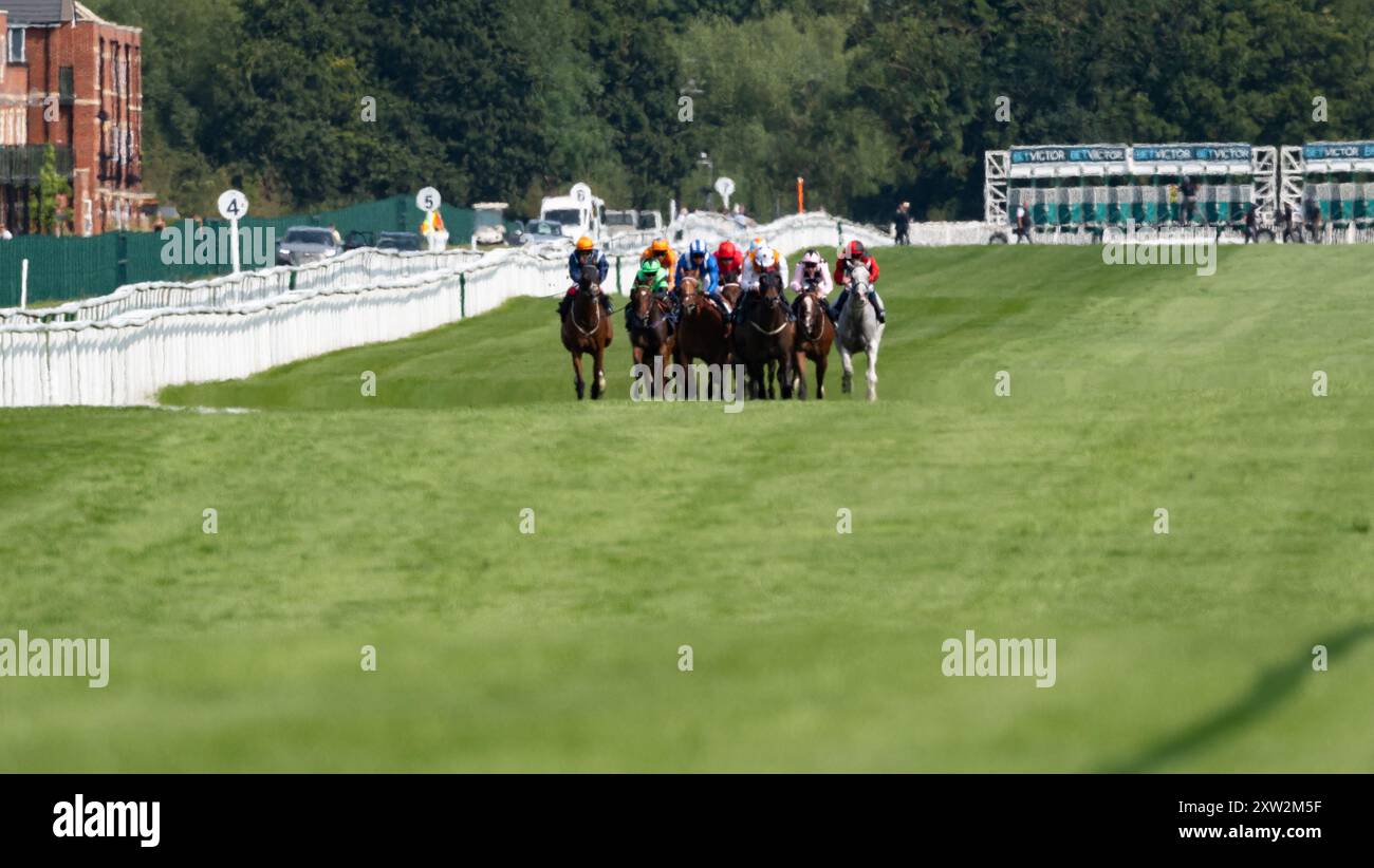 Lethal levi hi-res stock photography and images - Alamy