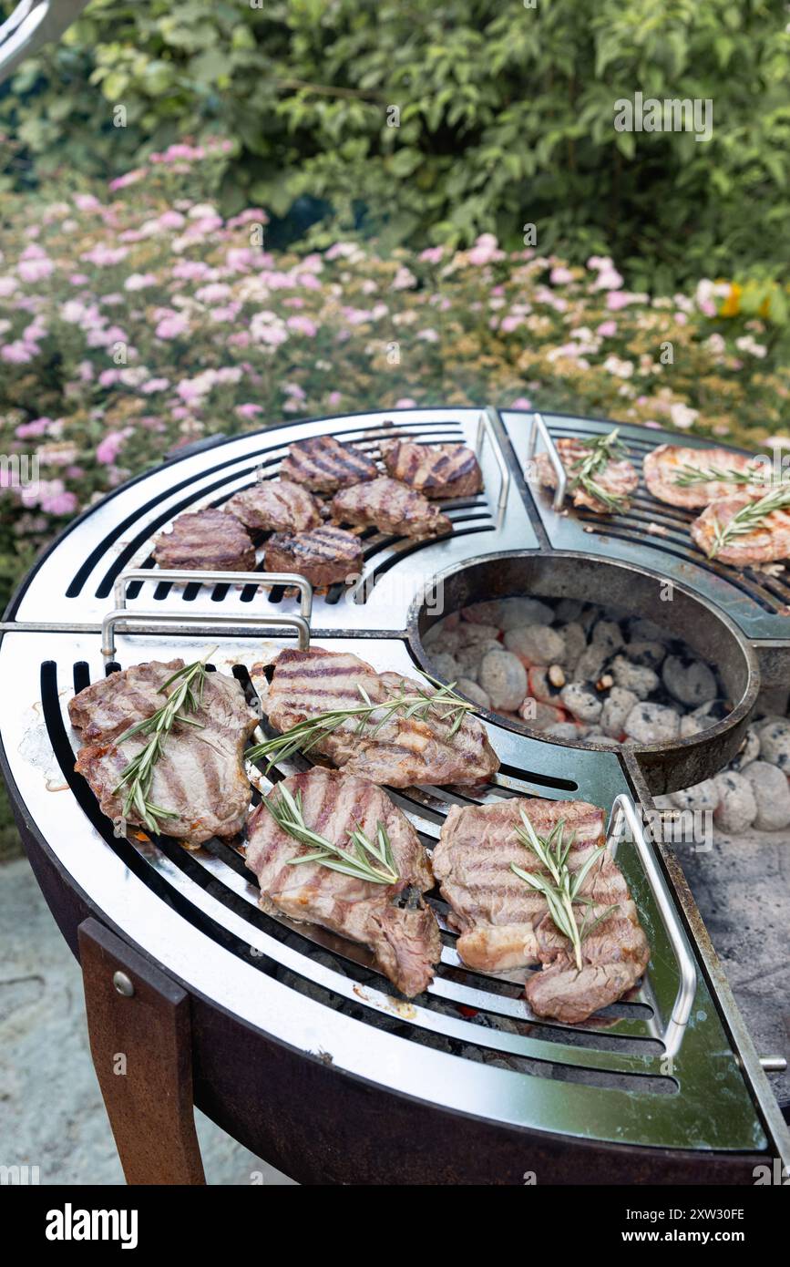 Outdoor barbecue and grilling the concept of family leisure and ...