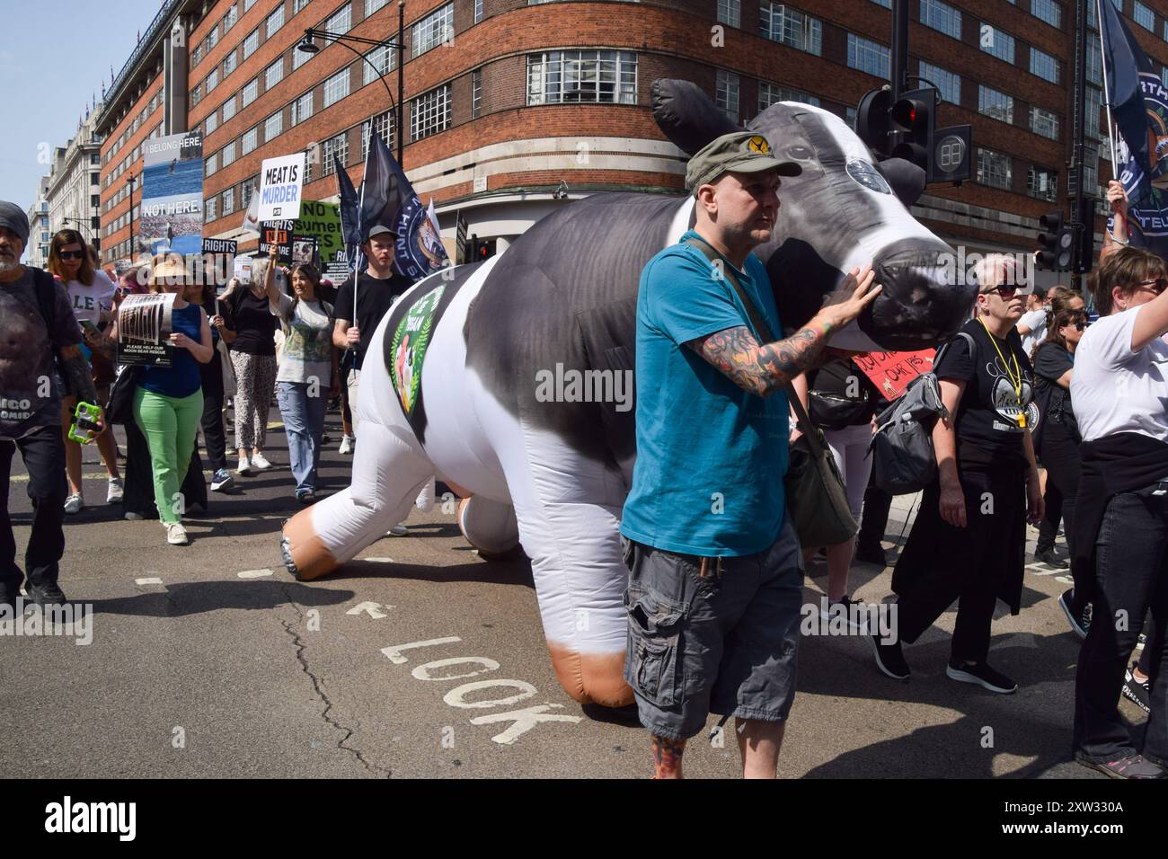 Inflatable cow costume hi-res stock photography and images - Alamy