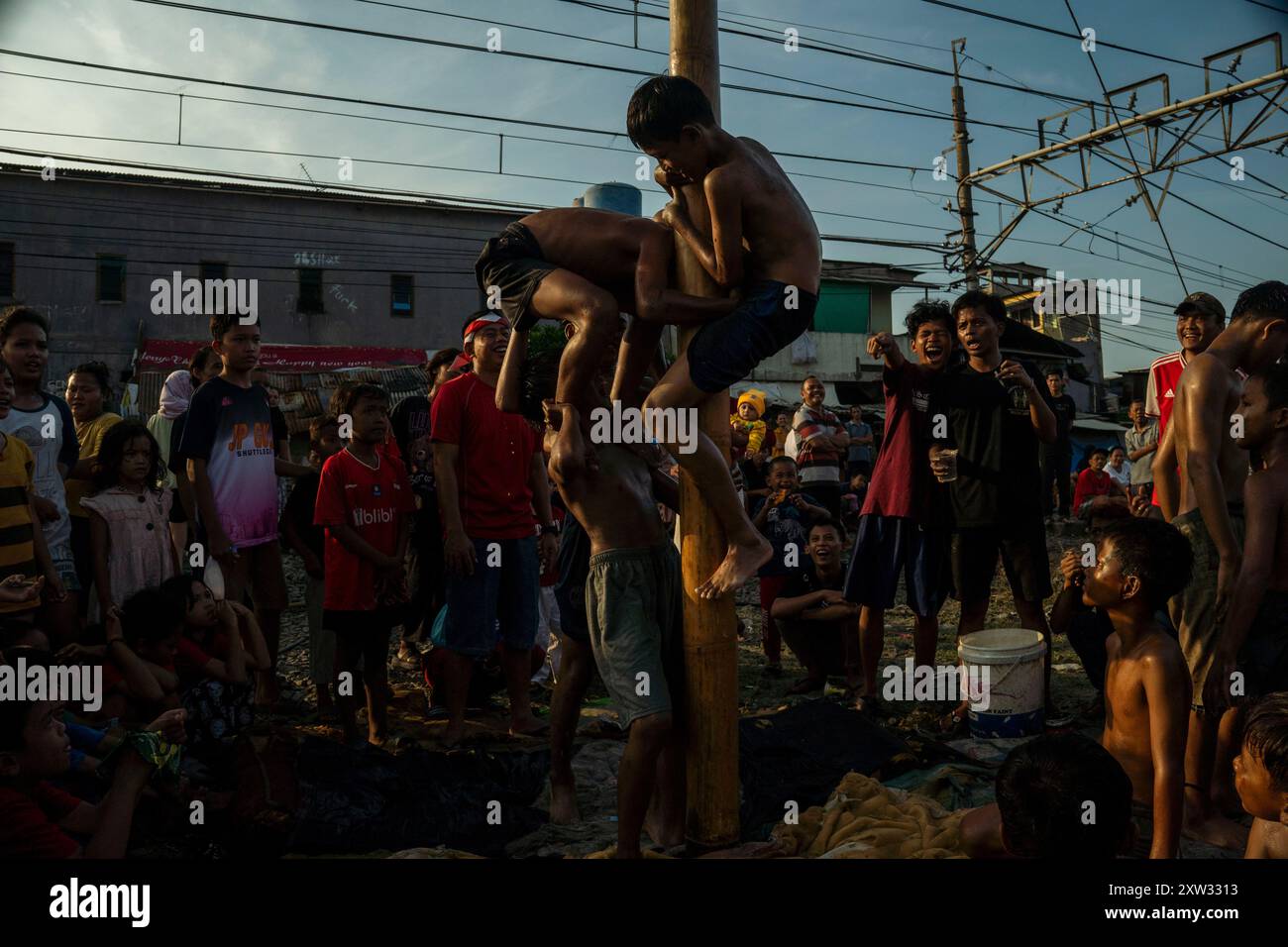 Pinang tree symbol hi-res stock photography and images - Alamy