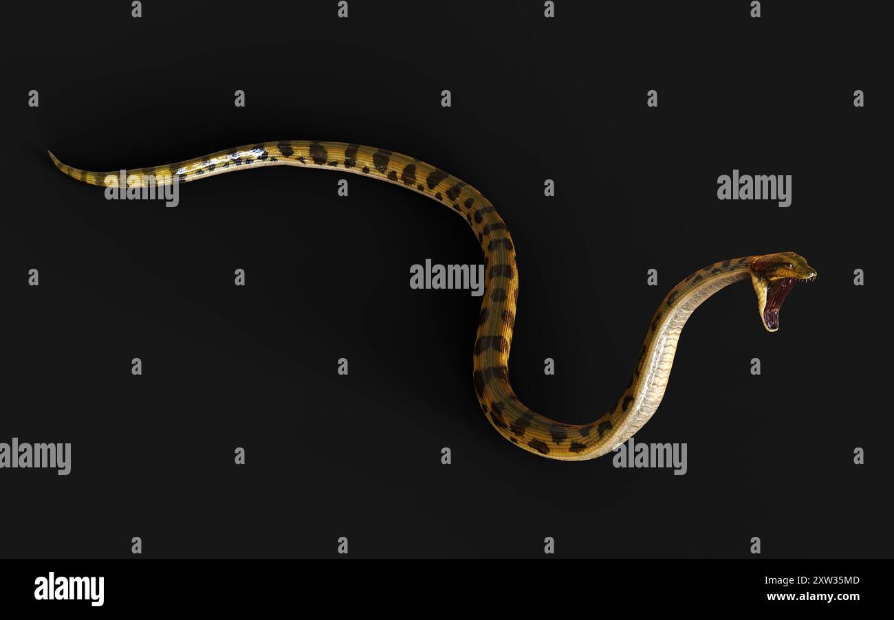 3d Illustration Golden Anaconda, Boa Constrictor The World's Biggest ...