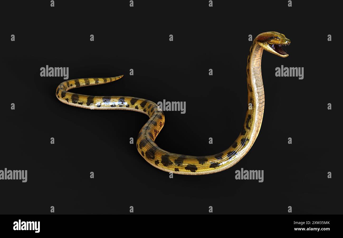 3d Illustration Golden Anaconda, Boa Constrictor The World's Biggest ...