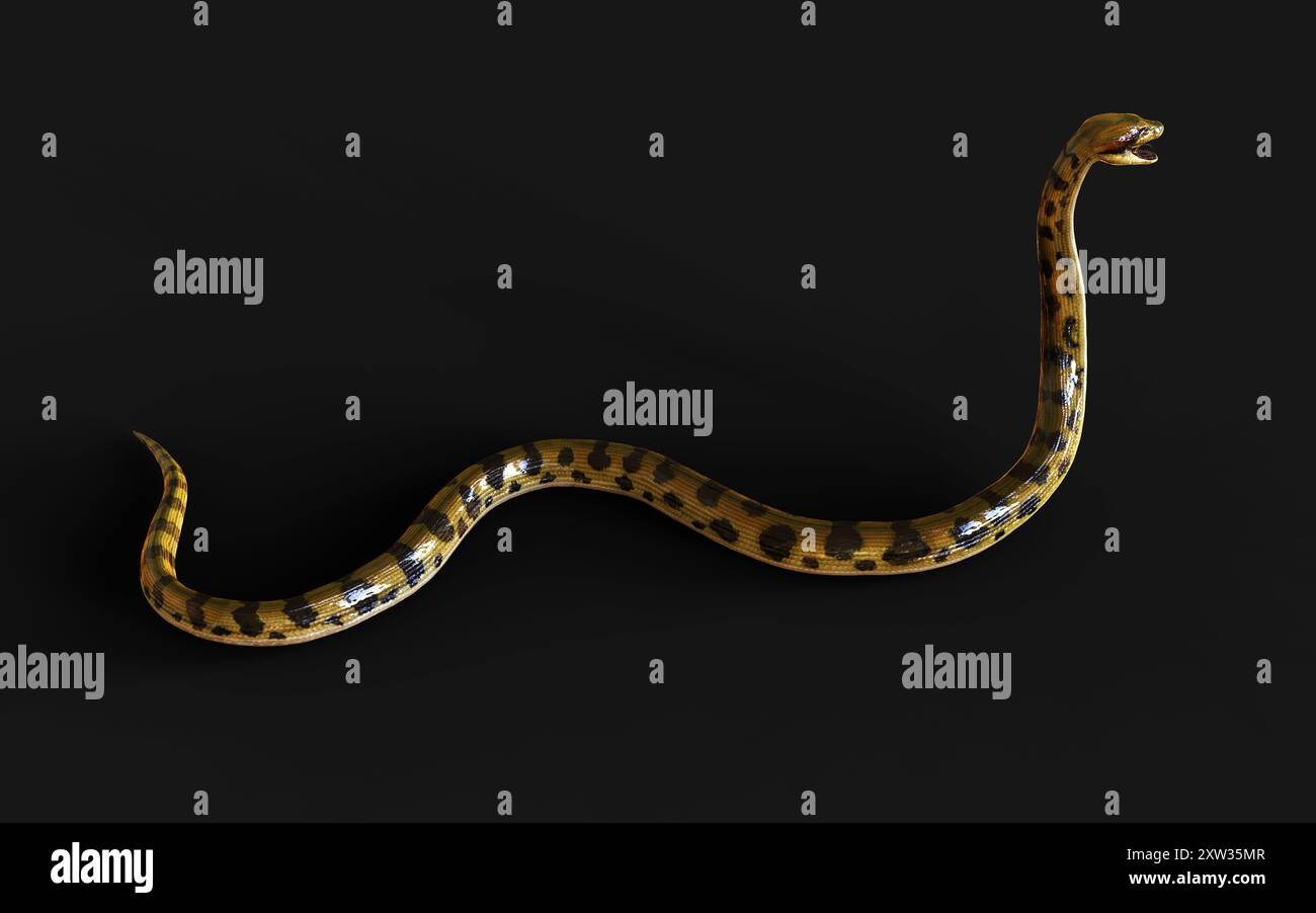 3d Illustration Golden Anaconda, Boa Constrictor The World's Biggest ...