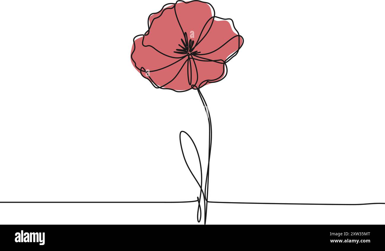 continuous single line drawing of red wild flower, colored corn poppy ...