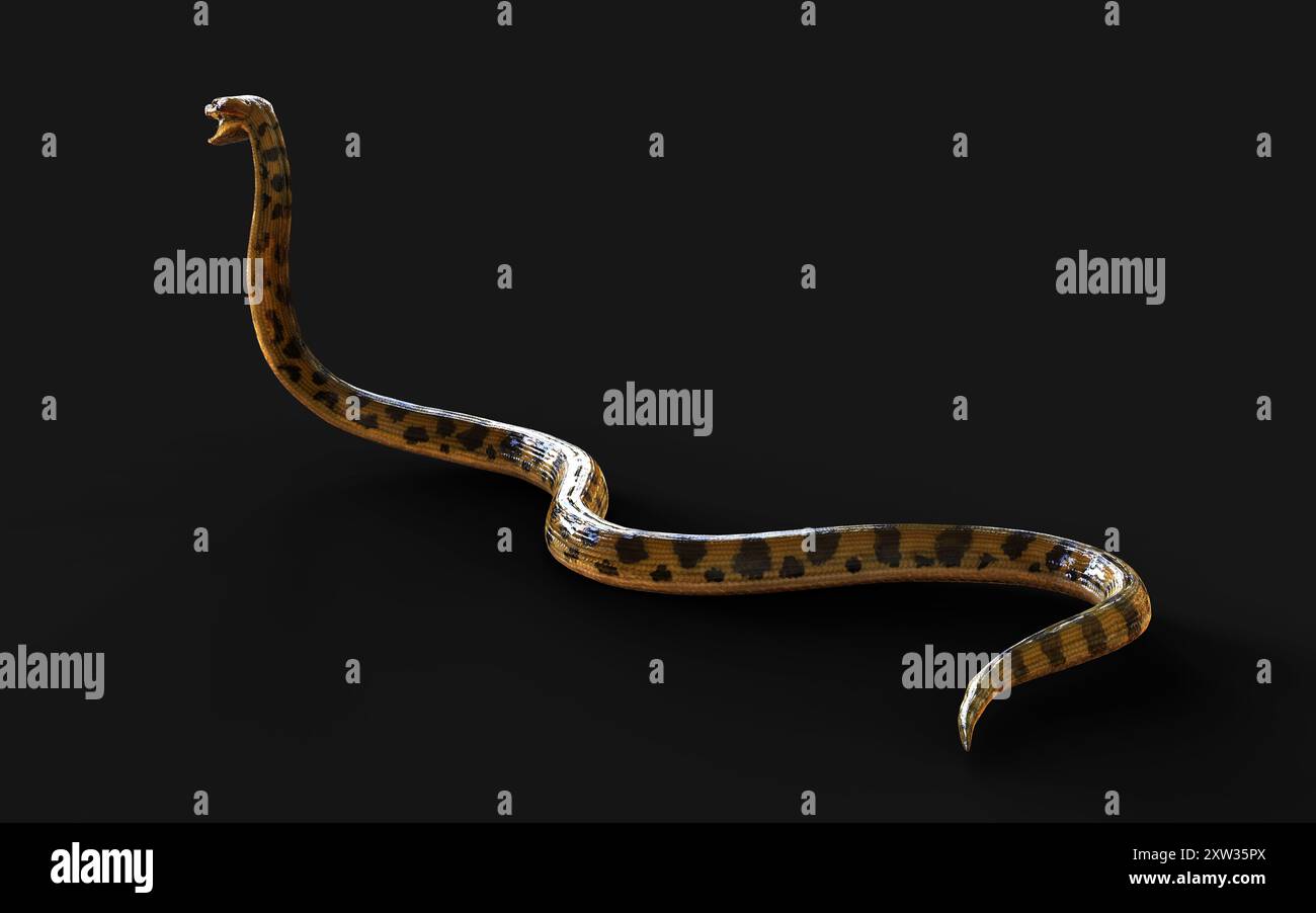 3d Illustration Golden Anaconda, Boa Constrictor The World's Biggest ...