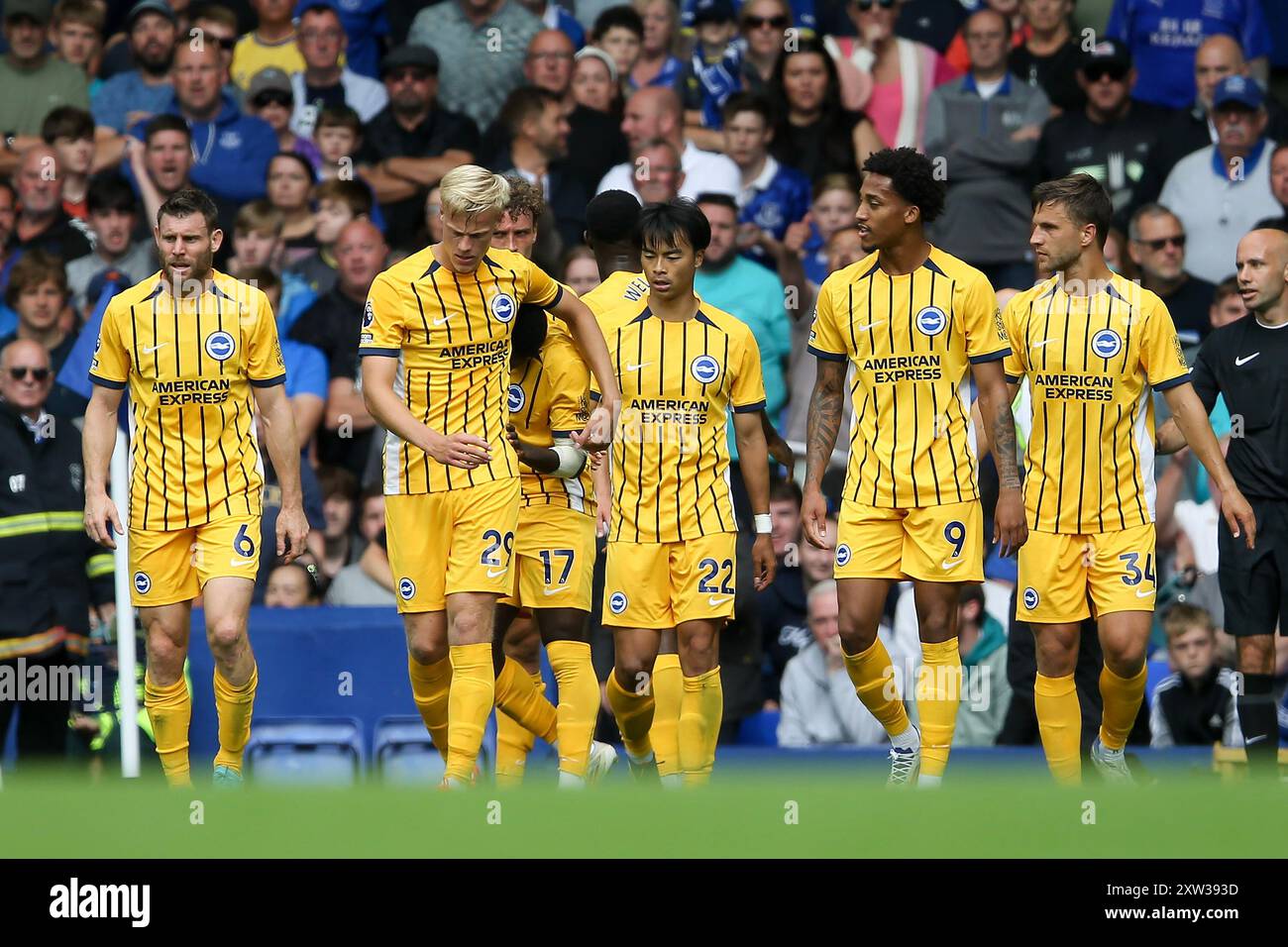 Brighton kaoru mitoma 2024 hi-res stock photography and images - Alamy