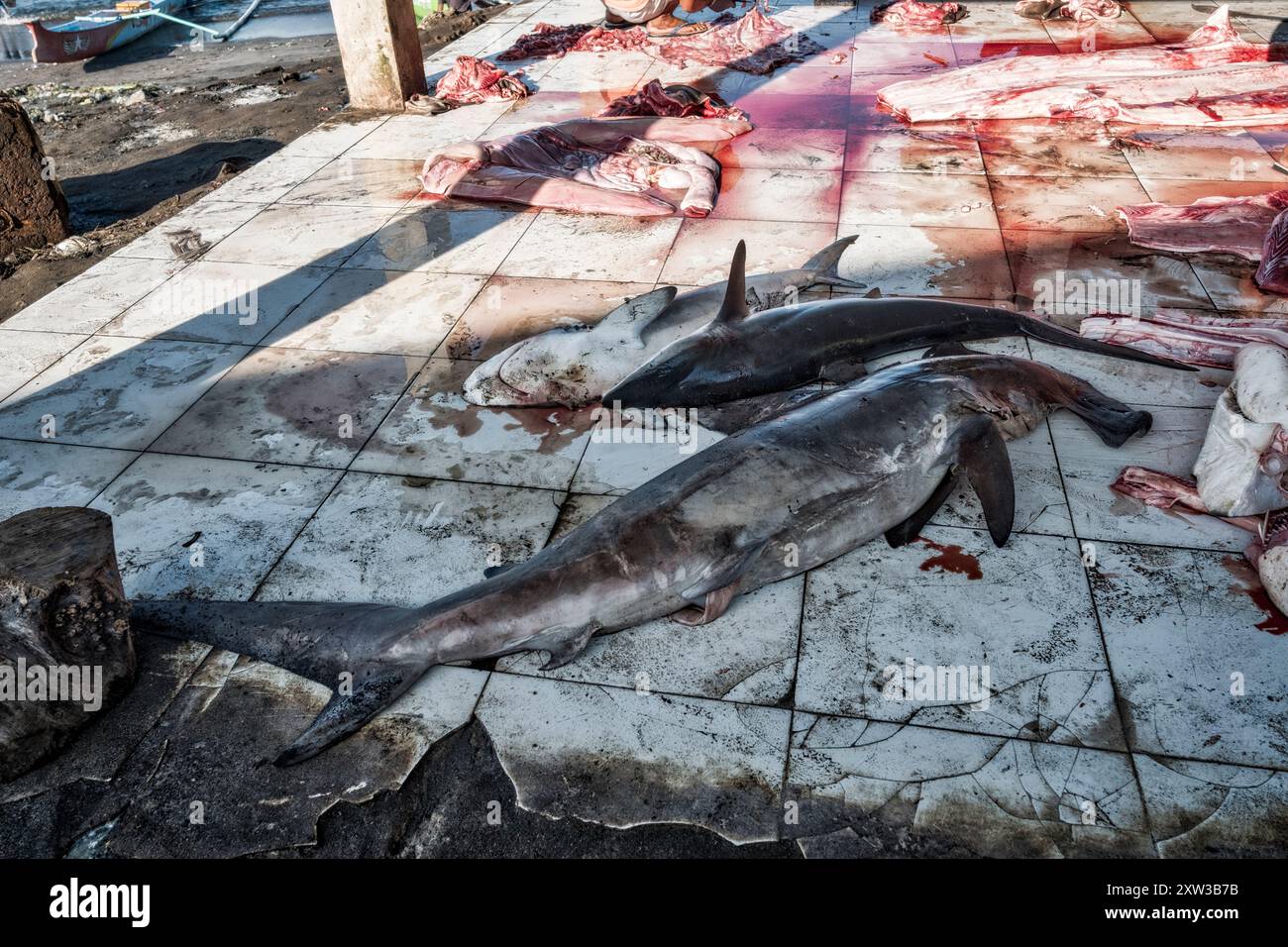 Tanjung luar fish market hi-res stock photography and images - Alamy
