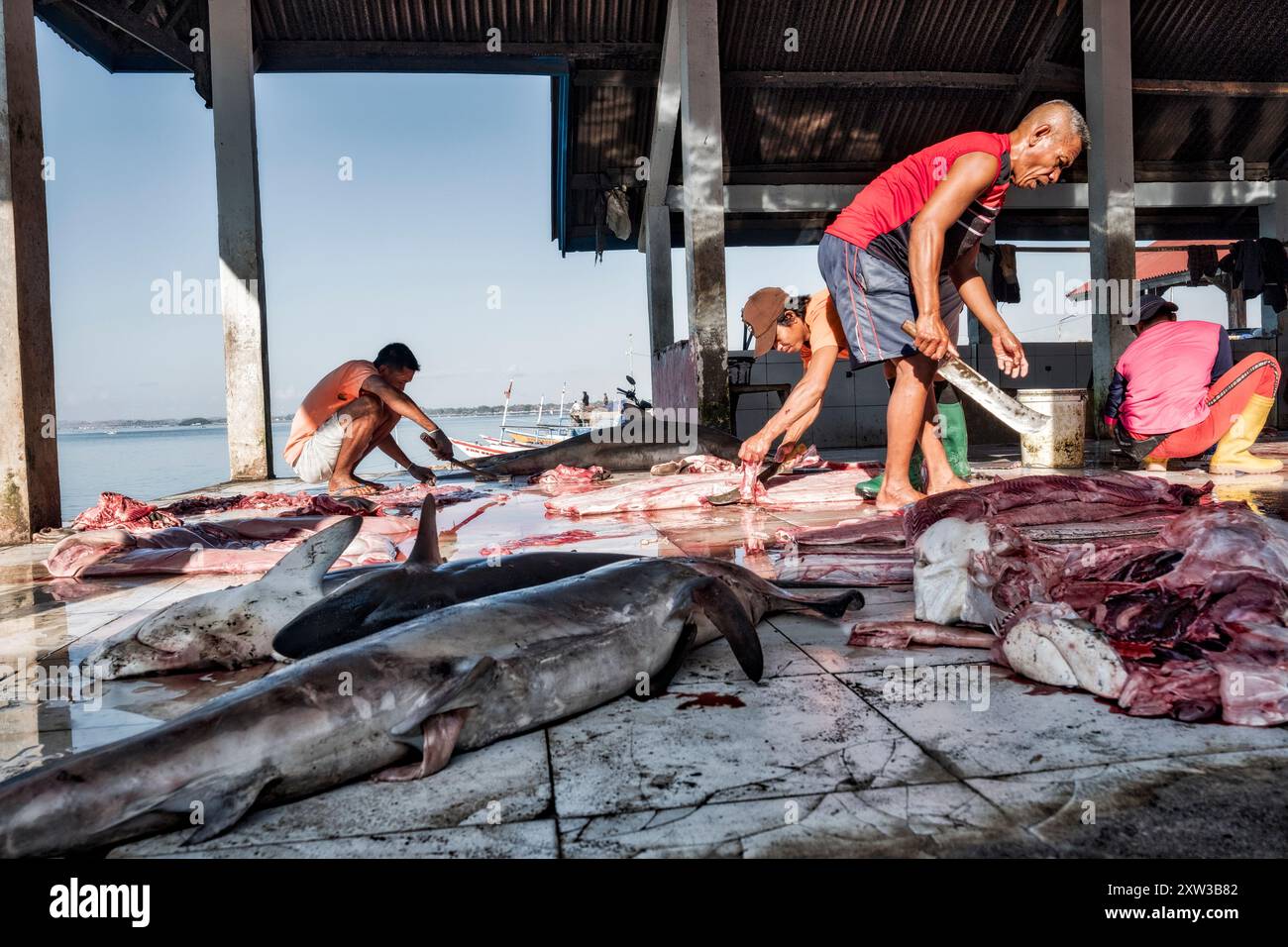 Tanjung luar fish market hi-res stock photography and images - Alamy