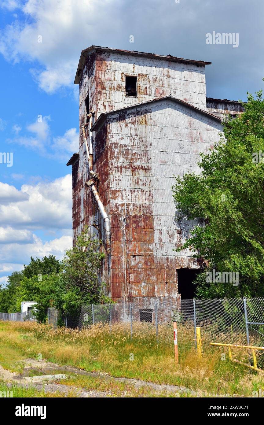 Cayuga, Illinois, USA. Cayuga Grain Elevator along a section of old and ...