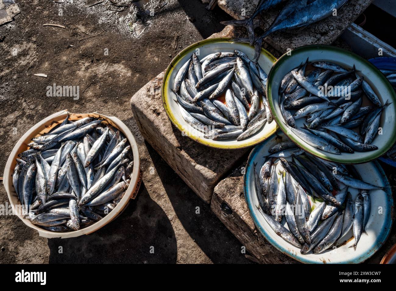 Tanjung Luar Fish market, Luar Cape, Lombok, Indonesia, Asia Stock ...