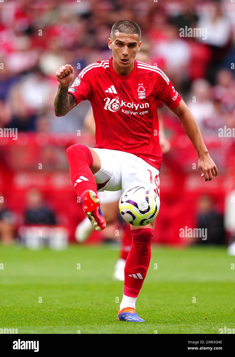 Nottingham Forest's Nicolas Dominguez in action during the Premier ...