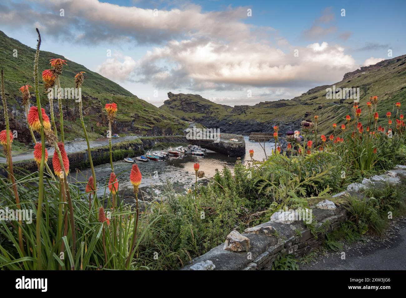 View of Boscastle harbour from garden on the hill Stock Photo - Alamy