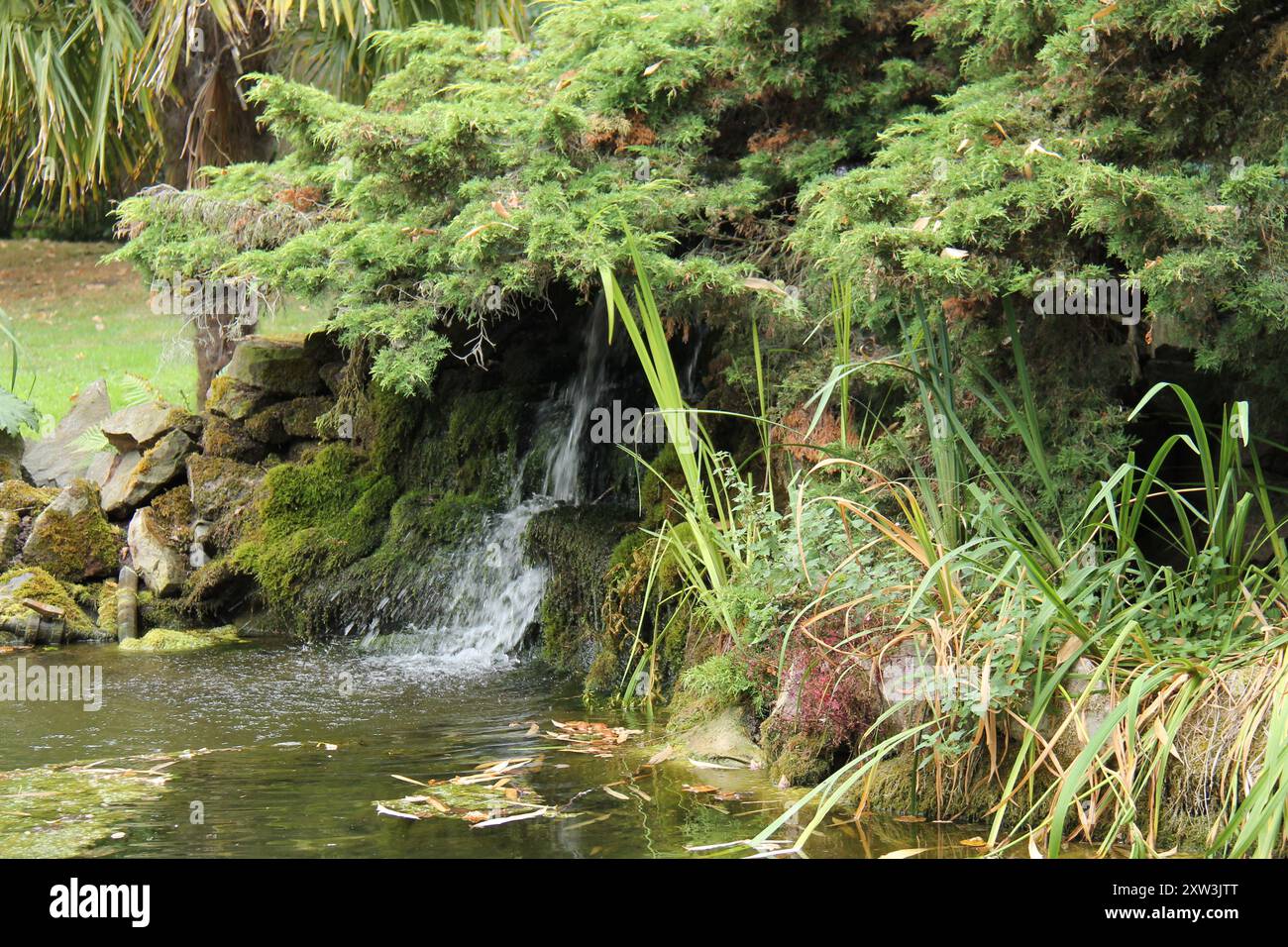 A Rocky Moss Covered Waterfall in a Garden Setting Stock Photo - Alamy