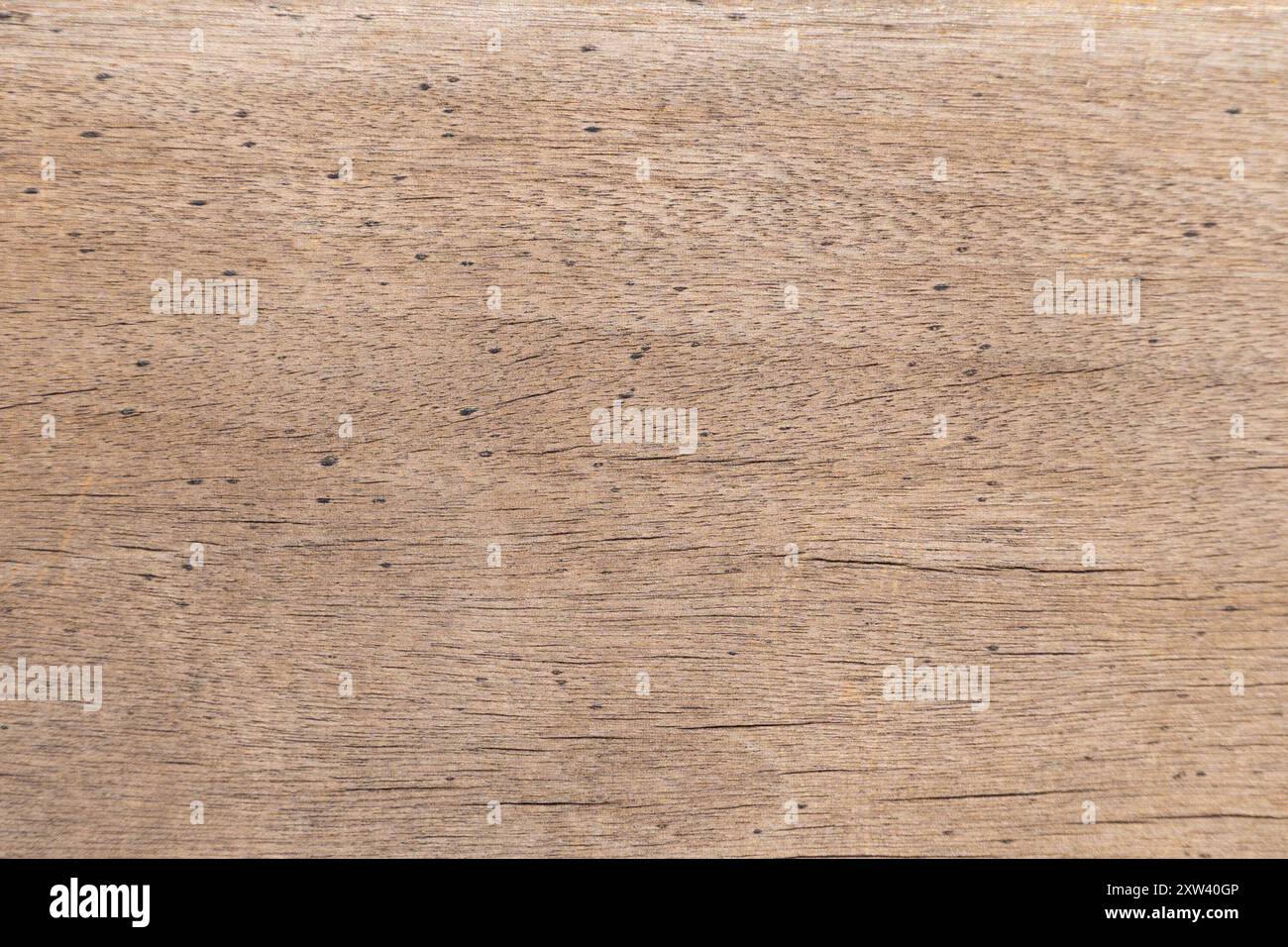 Textured wooden surface. Natural background. Treated wood texture Stock ...