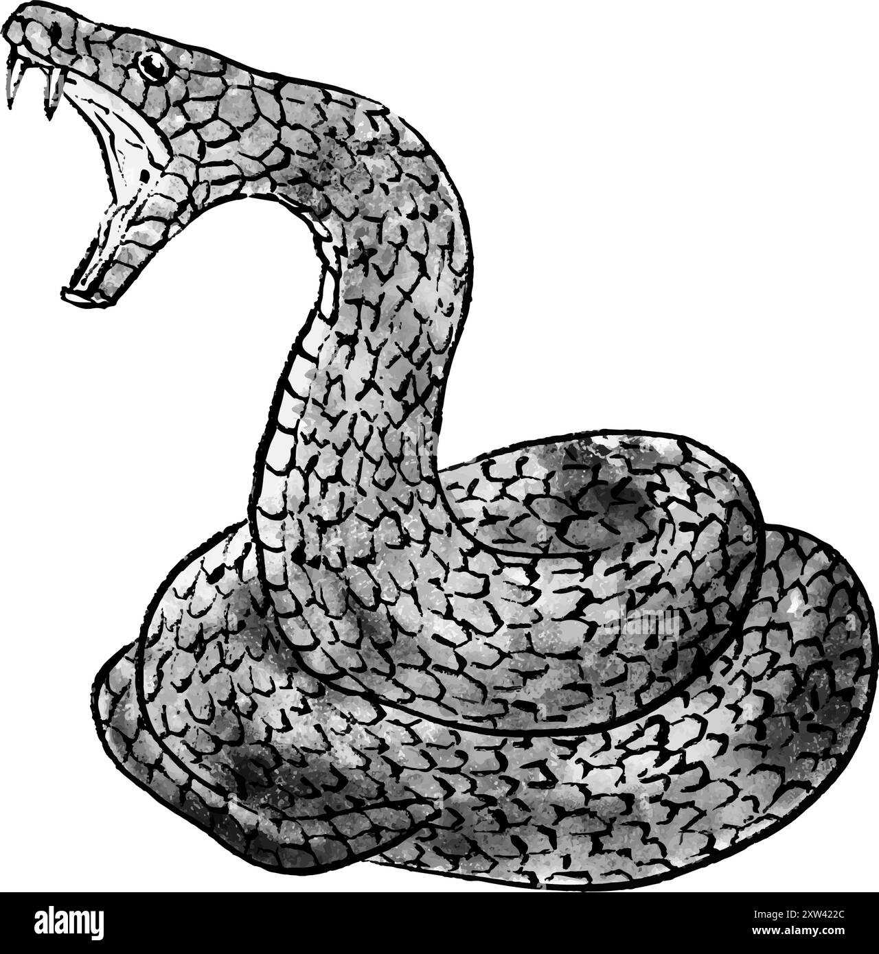 How To Draw A Snake Coiled Up