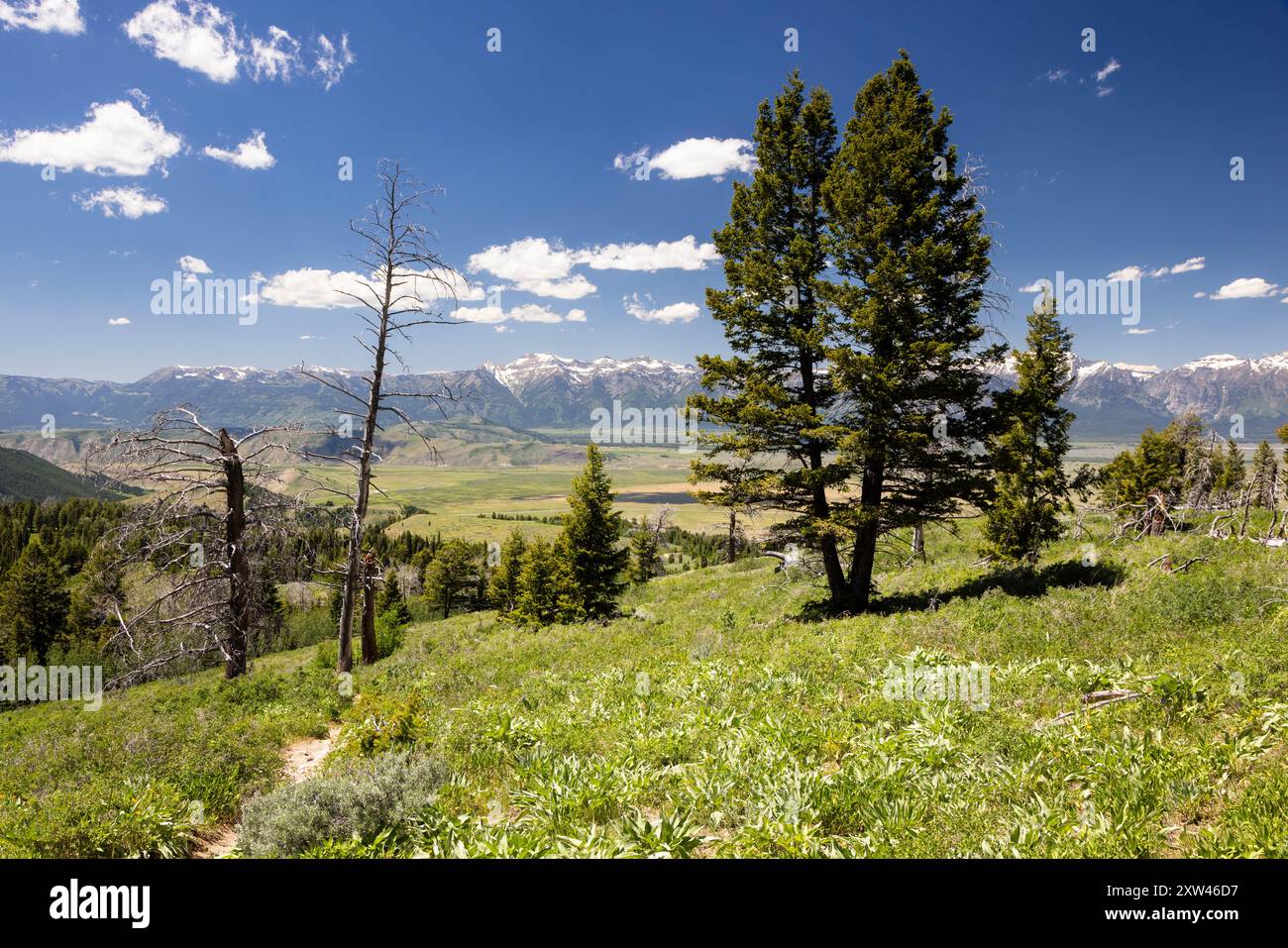 The valley of Jackson Hole stretching out below the Goodwin Lake Trail ...