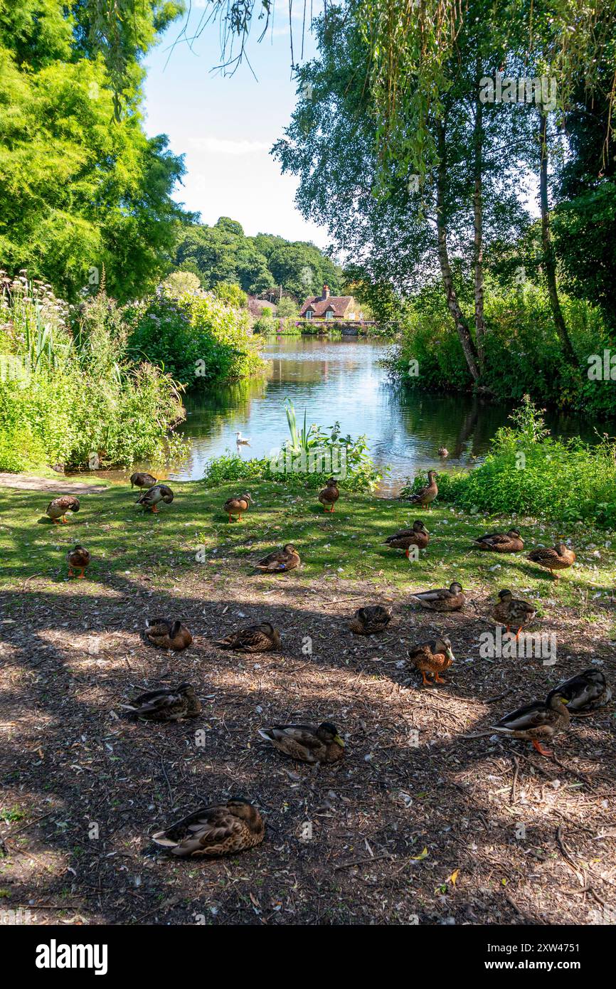 Midhurst town uk hi-res stock photography and images - Alamy