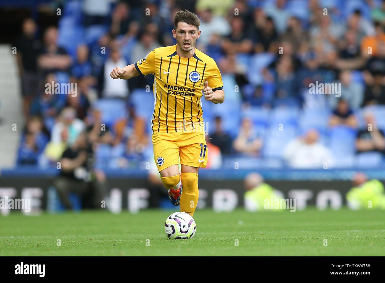 Billy gilmour of brighton hi-res stock photography and images - Alamy